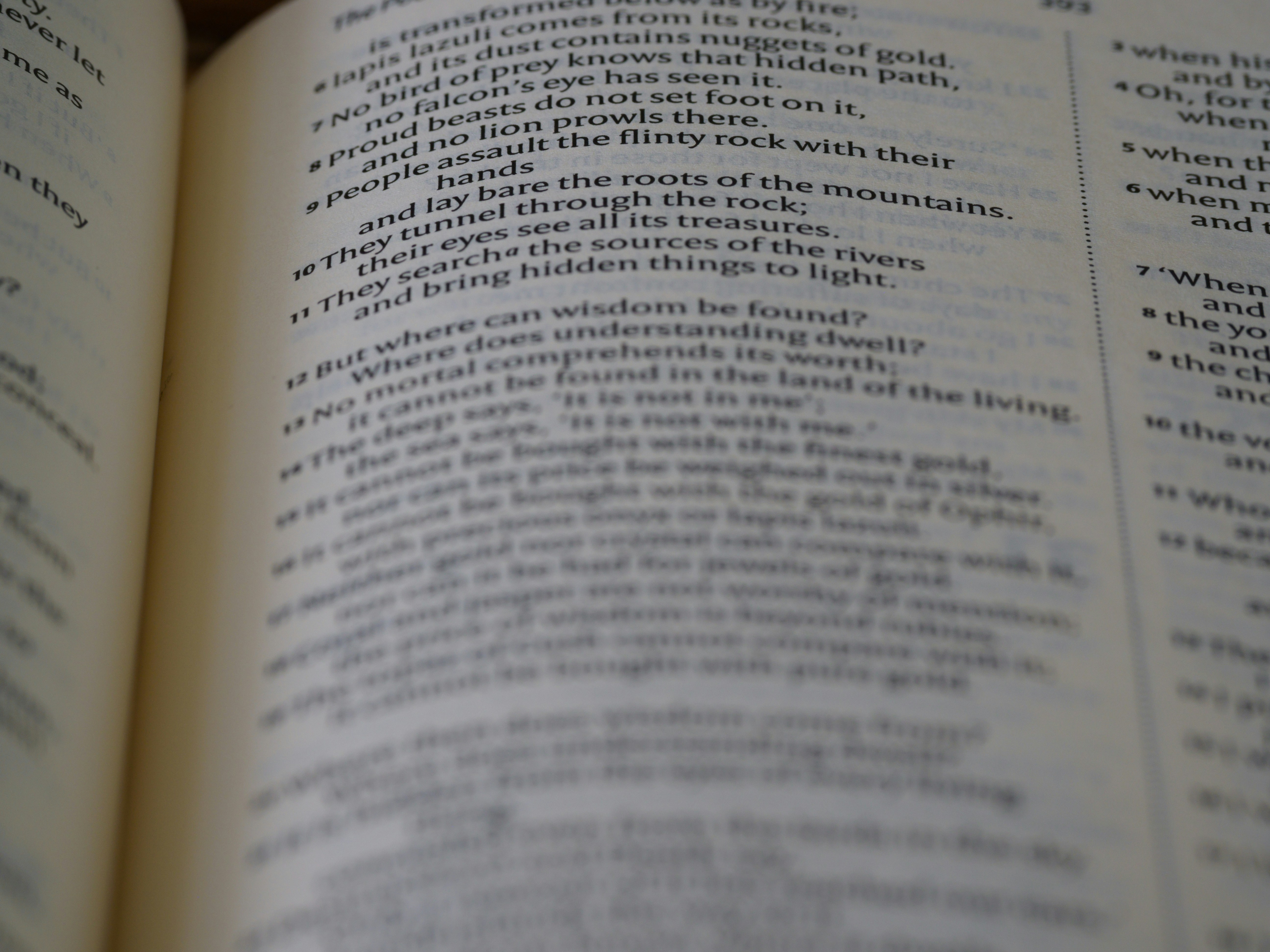 A close up of an open book with words on it photo – Free Grey Image on ...