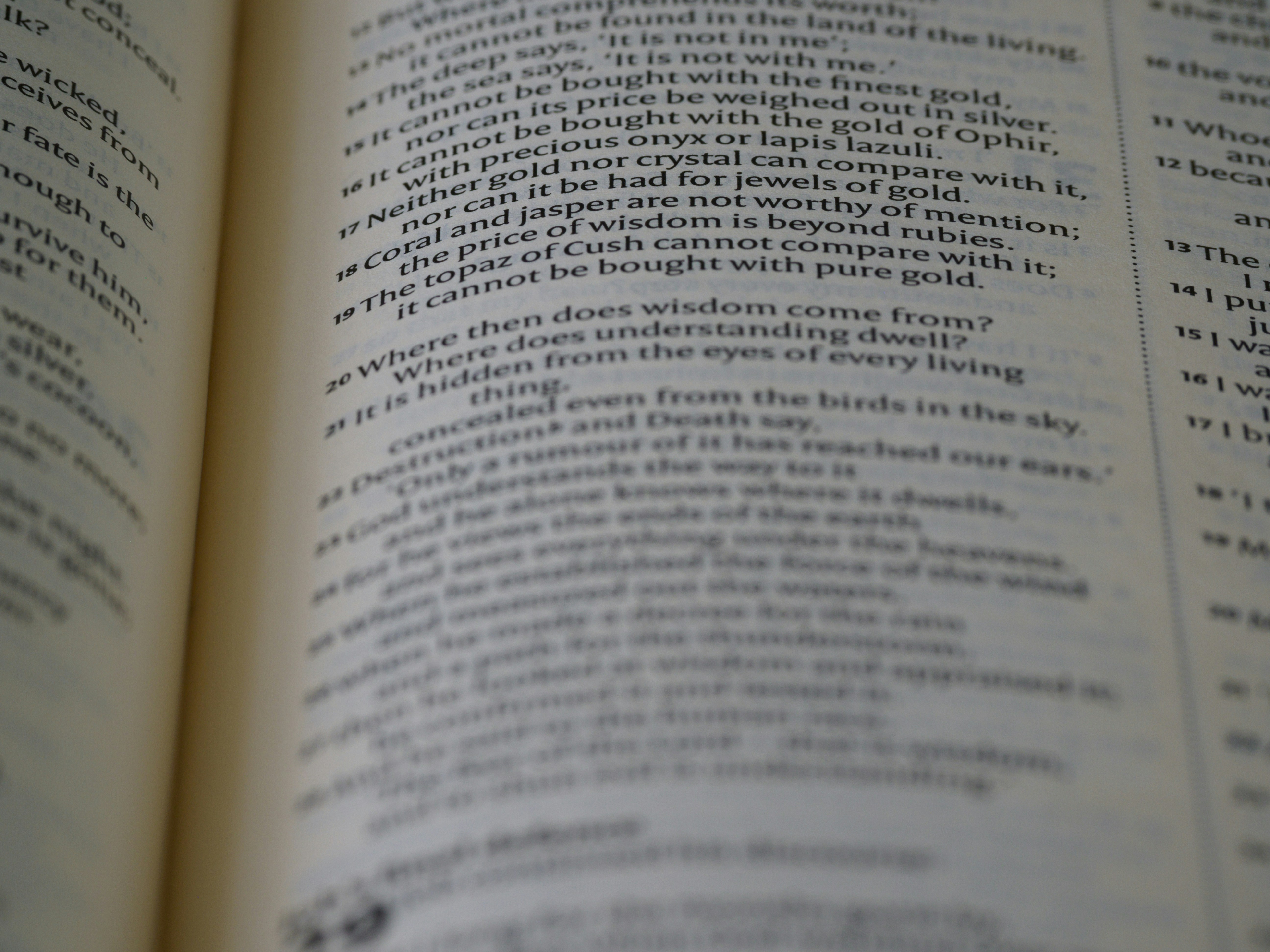 A close up of an open book with text photo – Free Grey Image on Unsplash