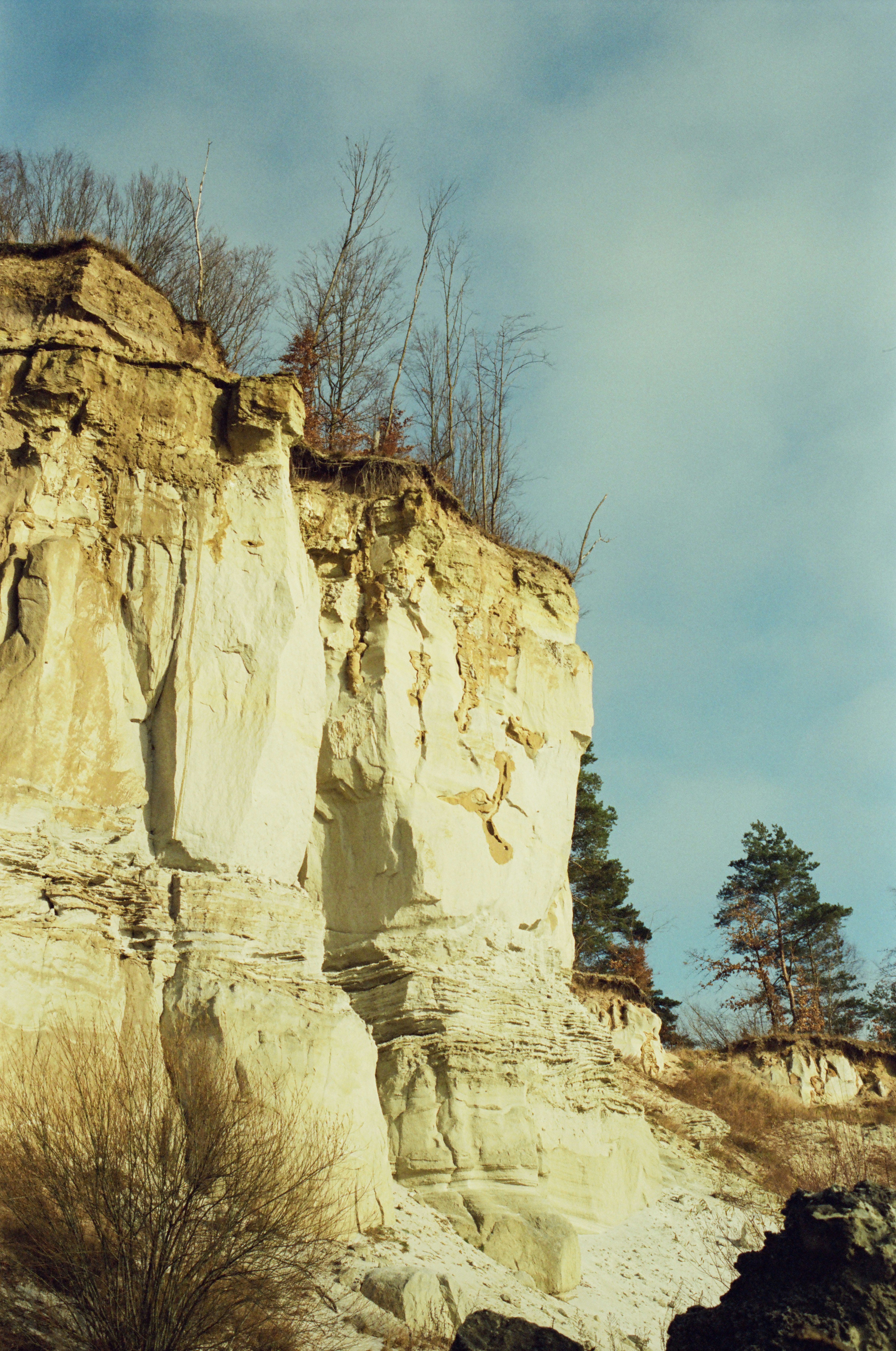 A rocky cliff with trees on top of it photo – Free Львівська область ...