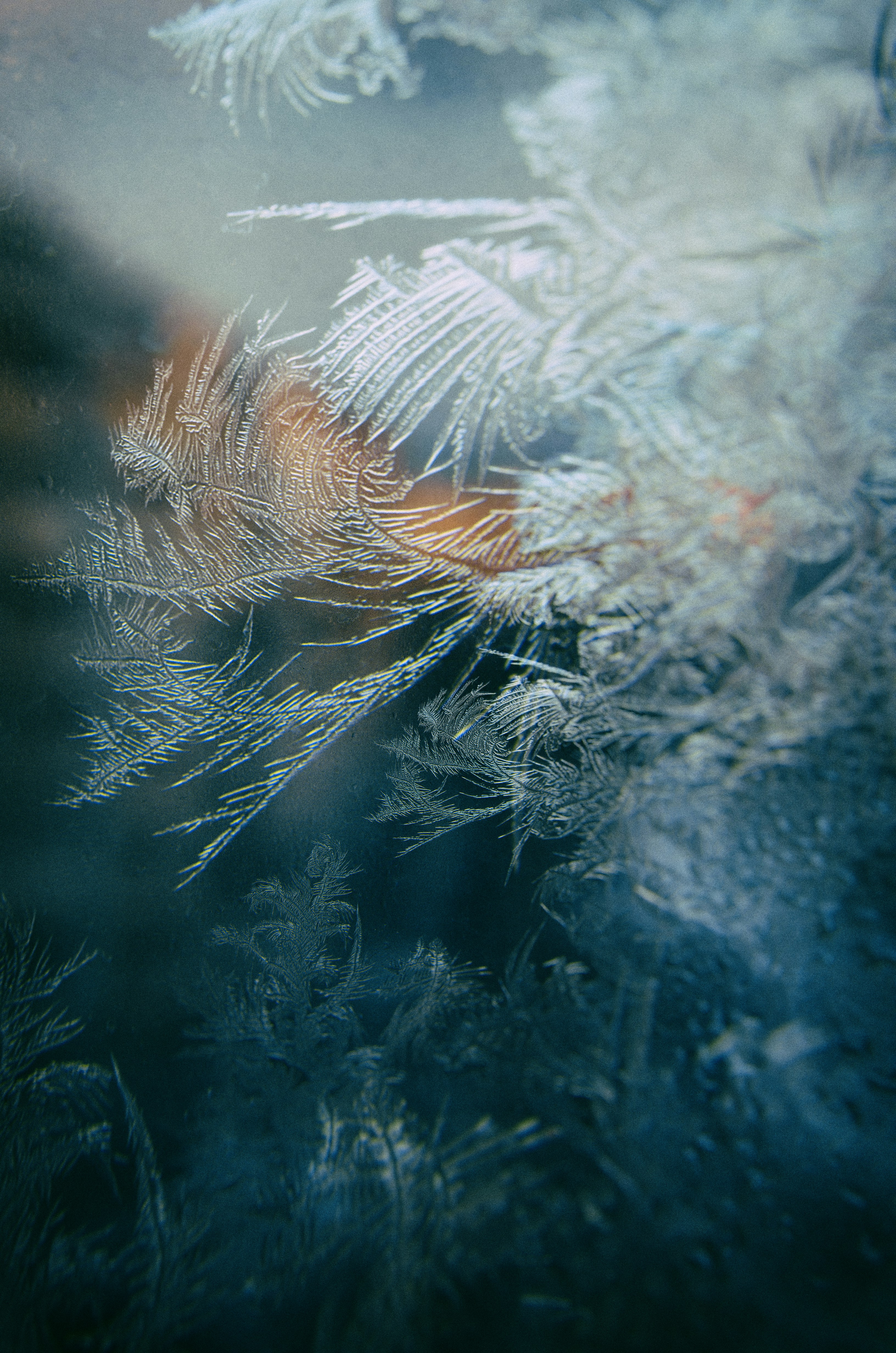 a blurry image of a river