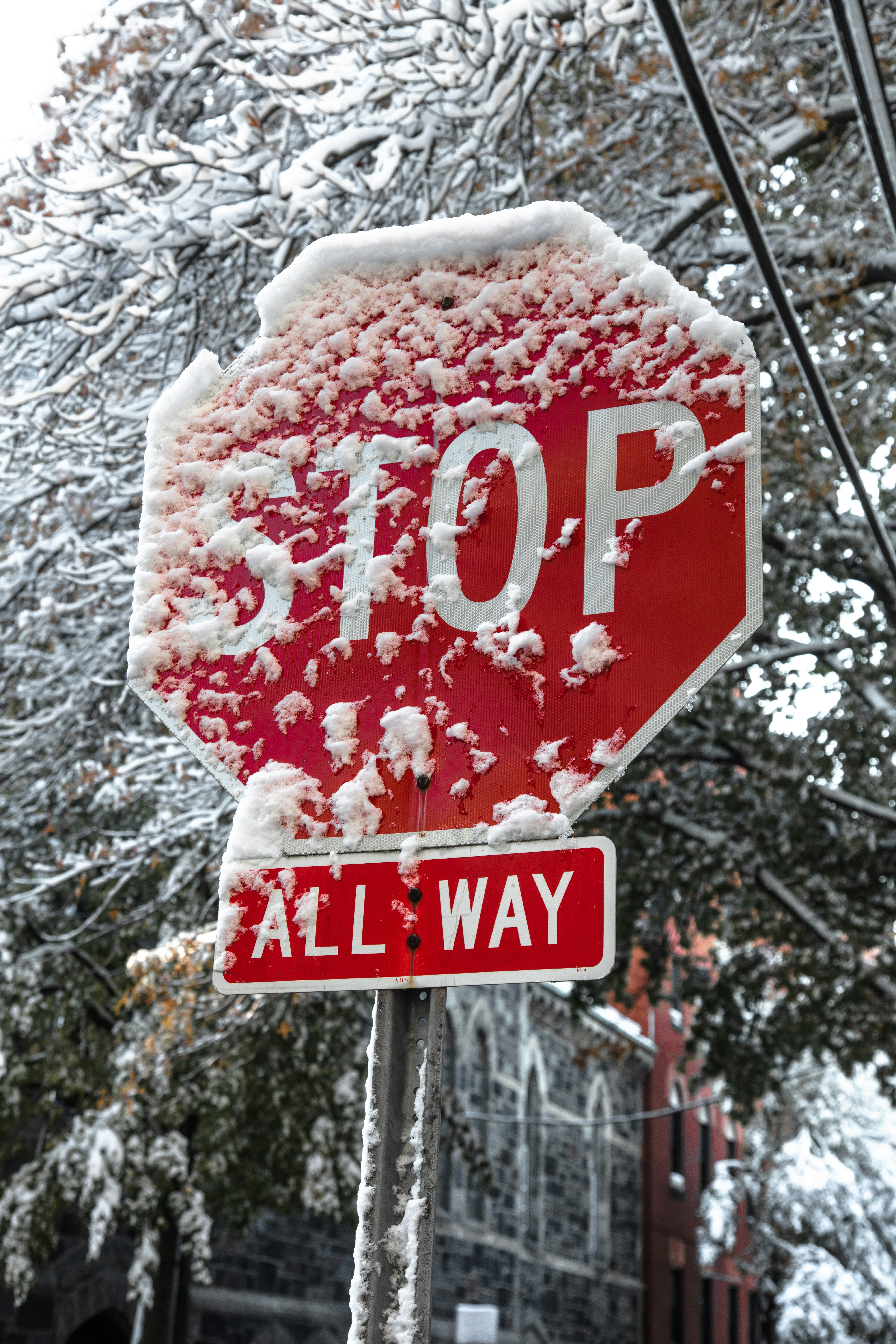 A red stop sign covered in snow next to a tree photo – Free Usa Image ...