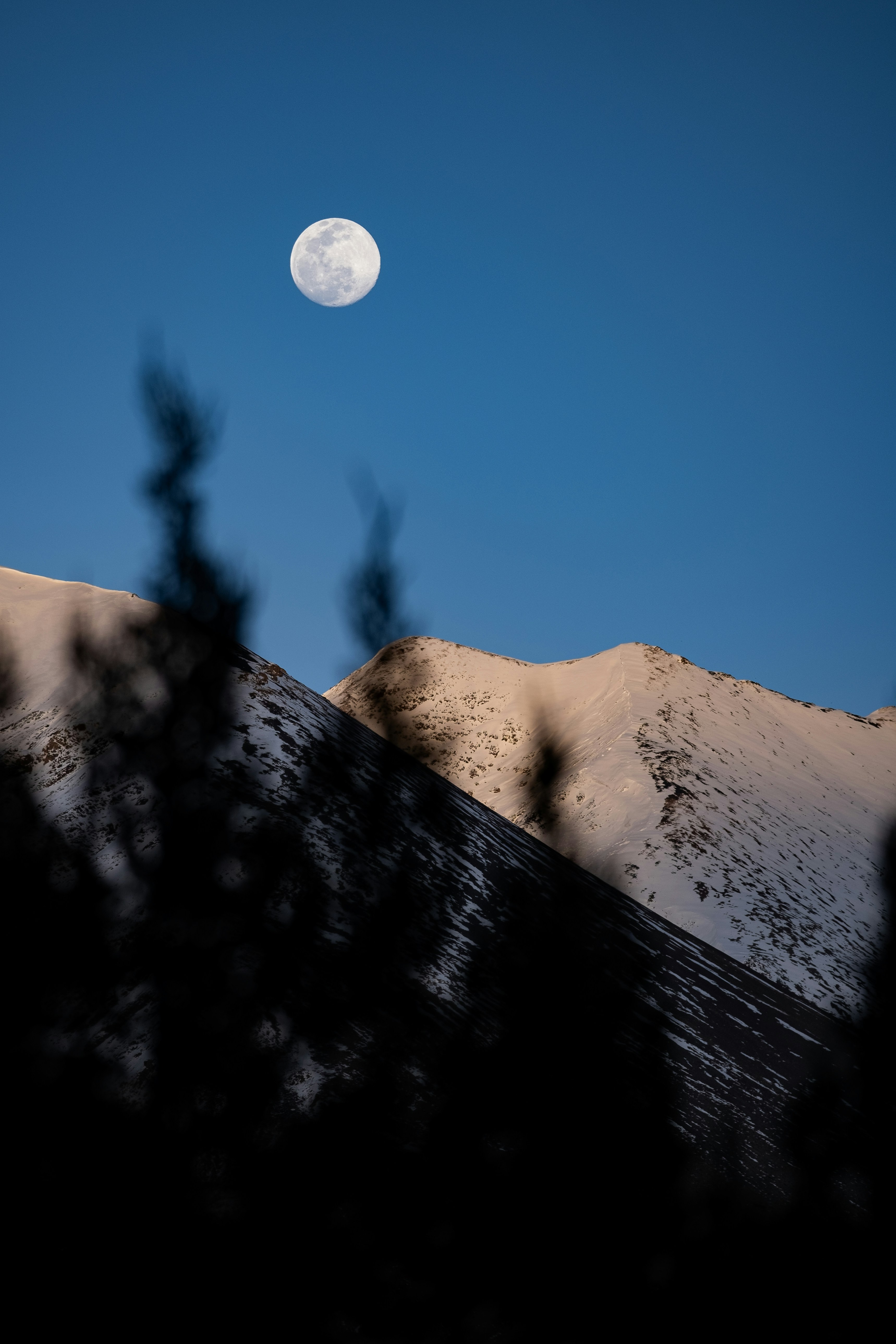 Moon over serrated ridges: a quiet alpine moment at blue hour