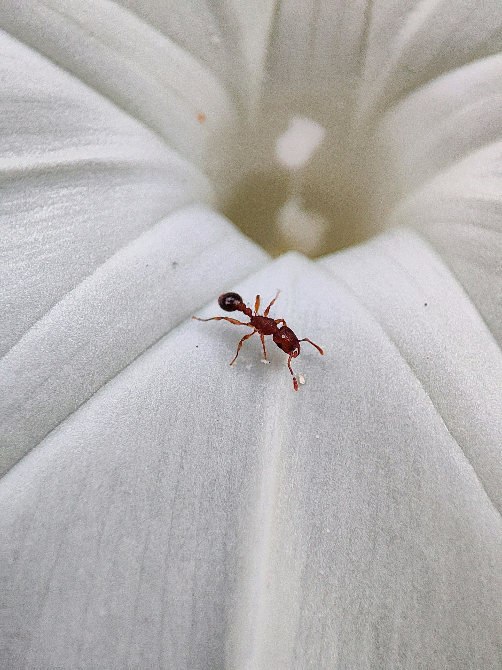 JANNATUL FERDOUS KONGKON (@kongkon0007) | Komunitas Foto Unsplash