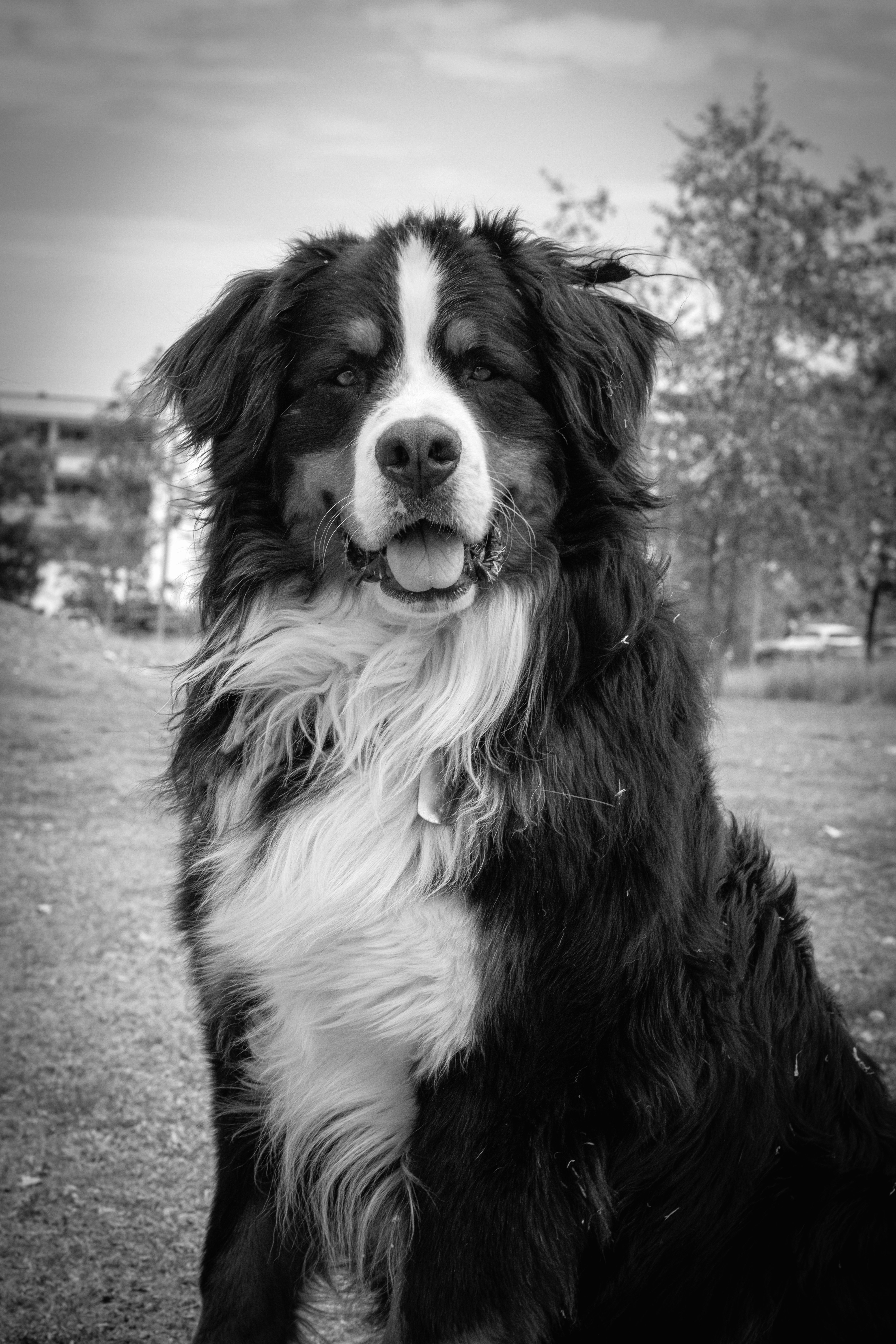 Ana Ferrer (@leilaniefe) | Komunitas Foto Unsplash