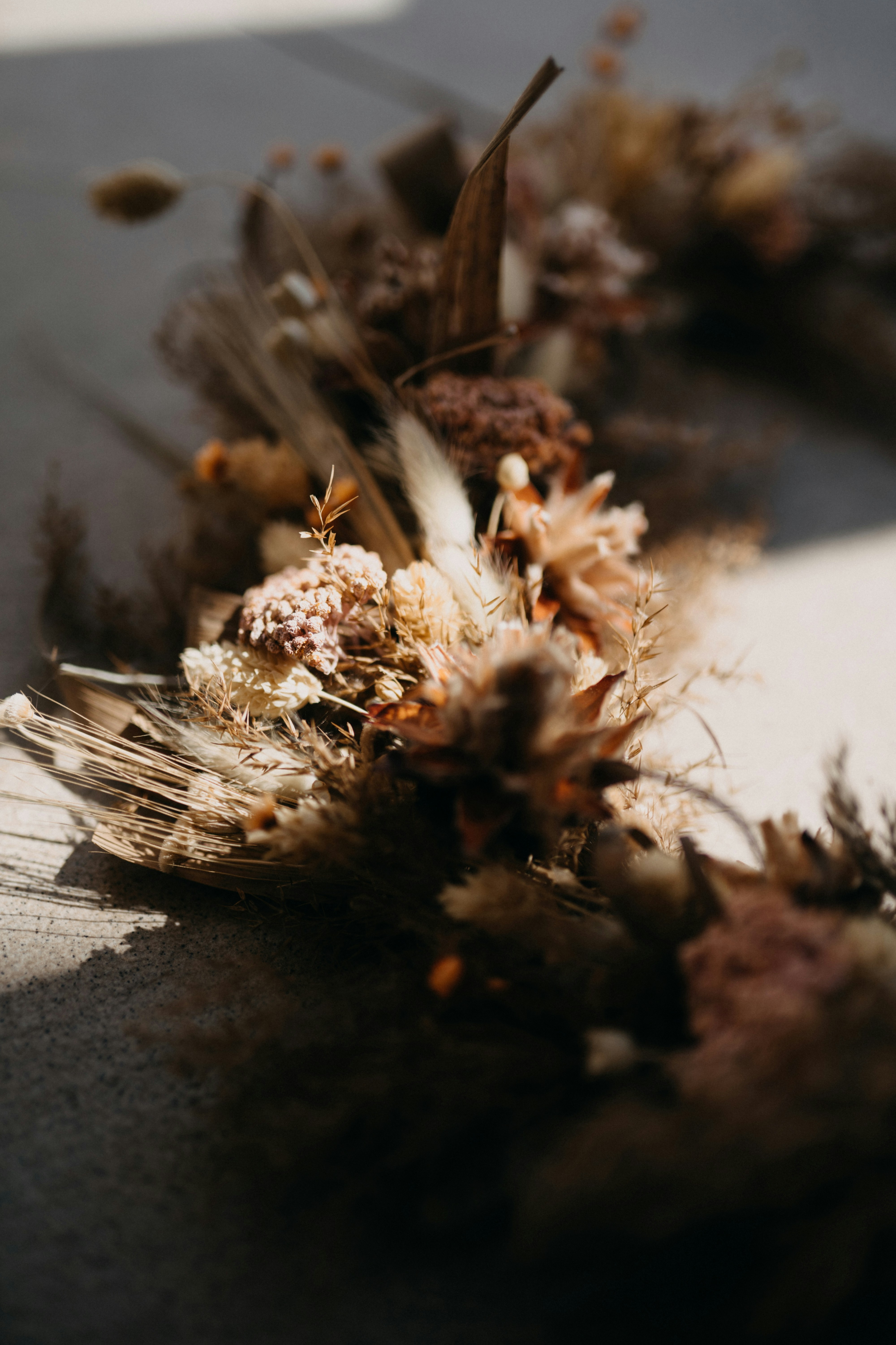 A bunch of dead flowers on the ground photo – Free Dried flowers Image ...