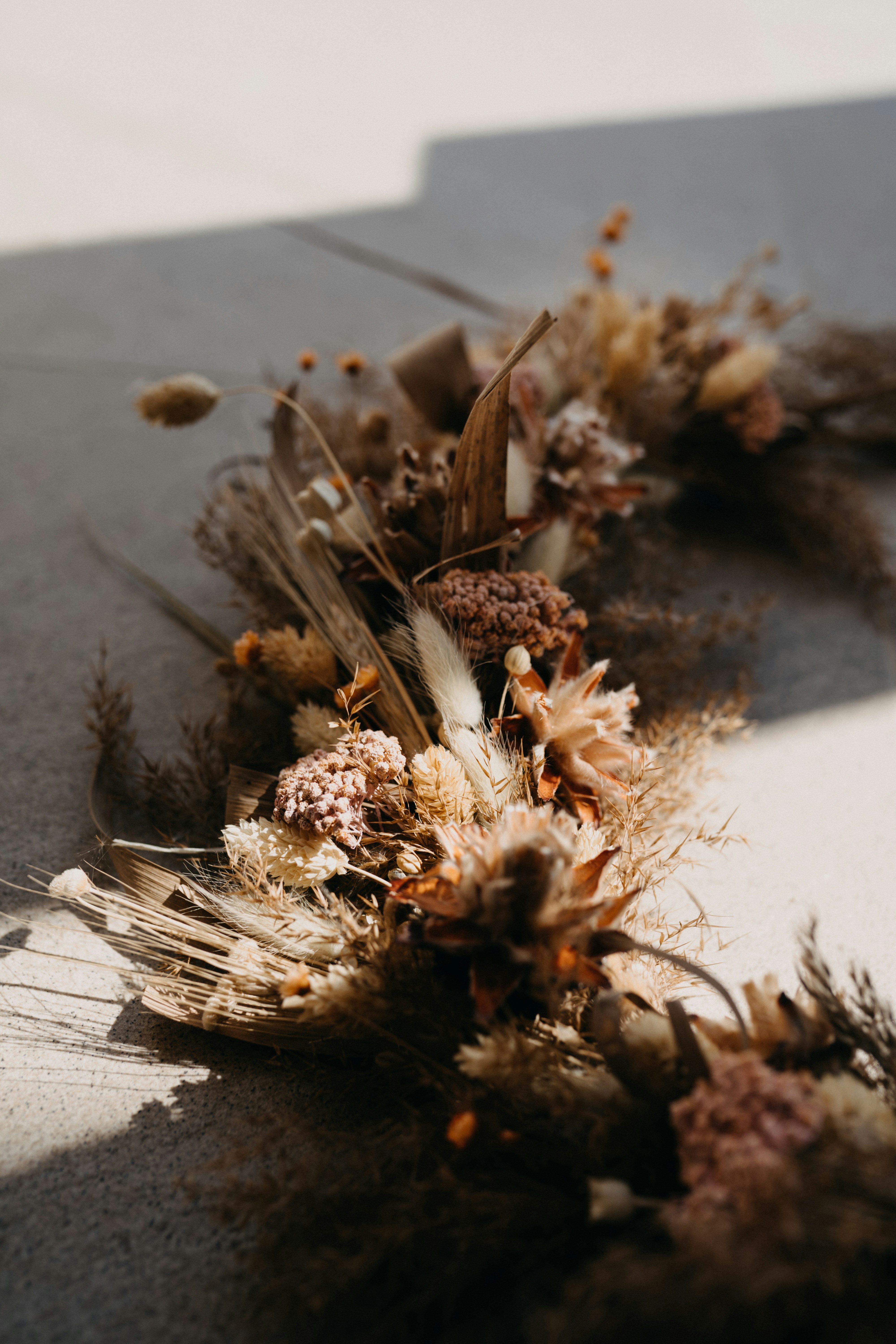 A bunch of dead flowers laying on the ground photo – Free Dried flowers ...