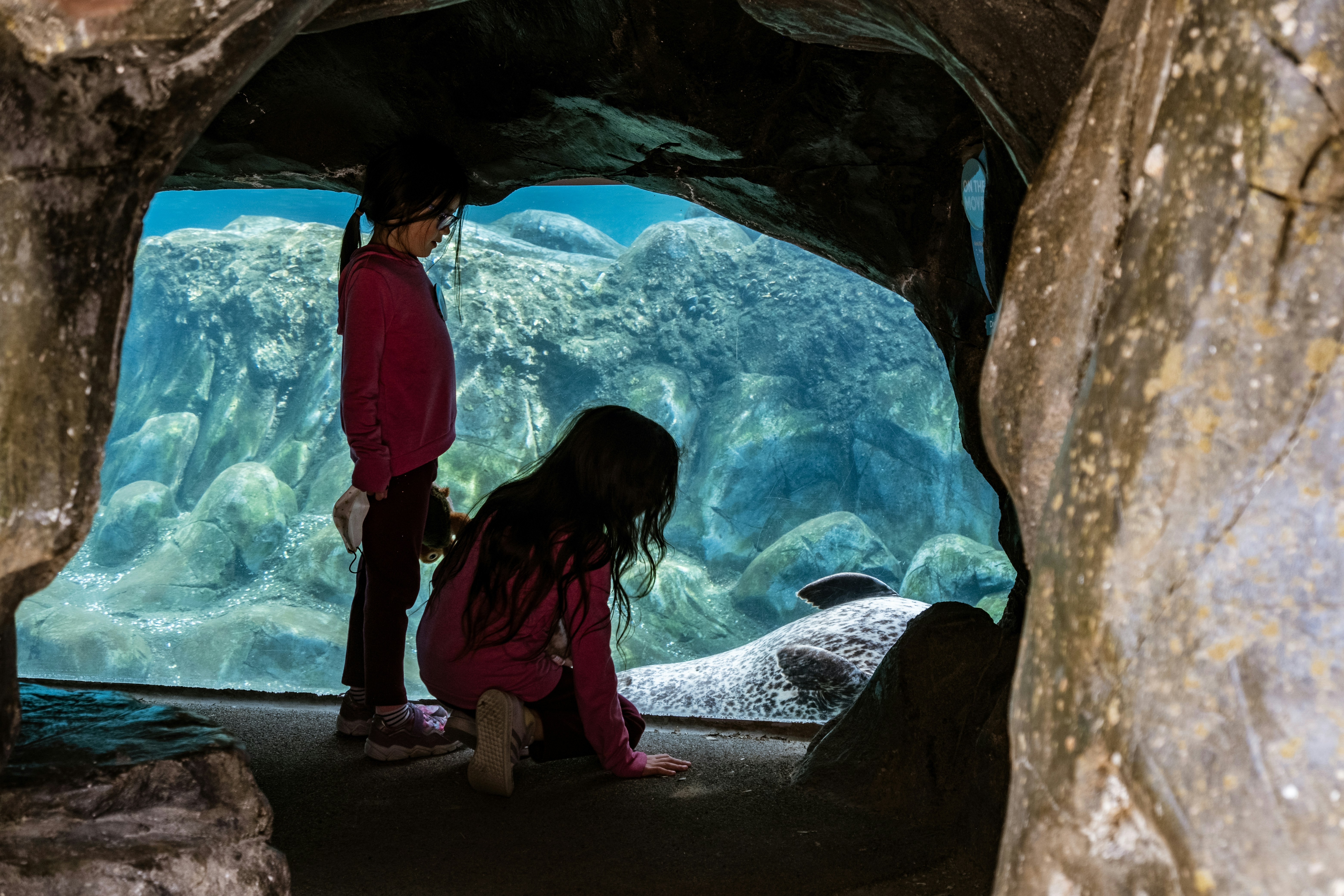 Cave Window: Two Girls in a Sapphire Seascape