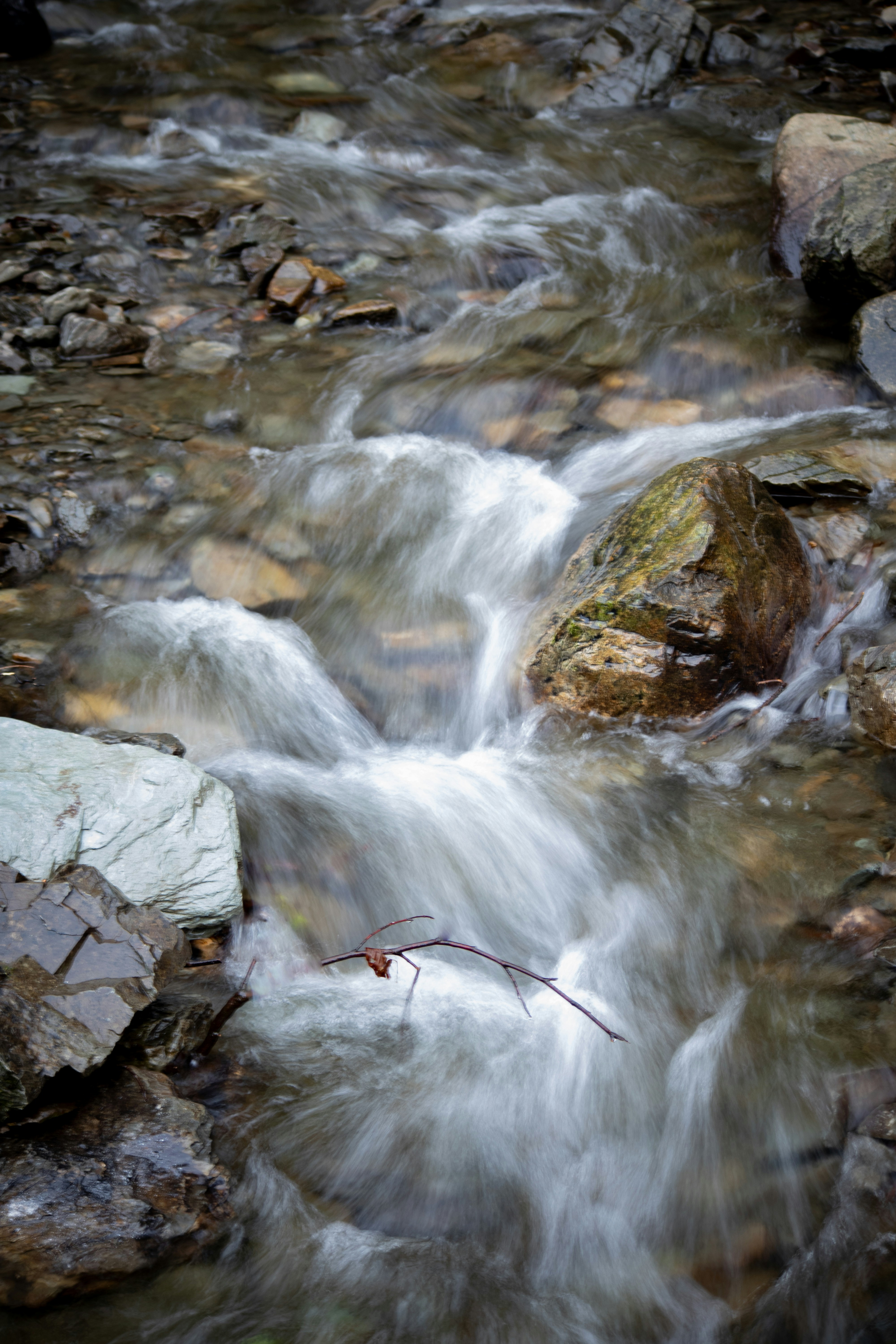 A stream of water running over rocks in a forest photo – Free Uk Image ...