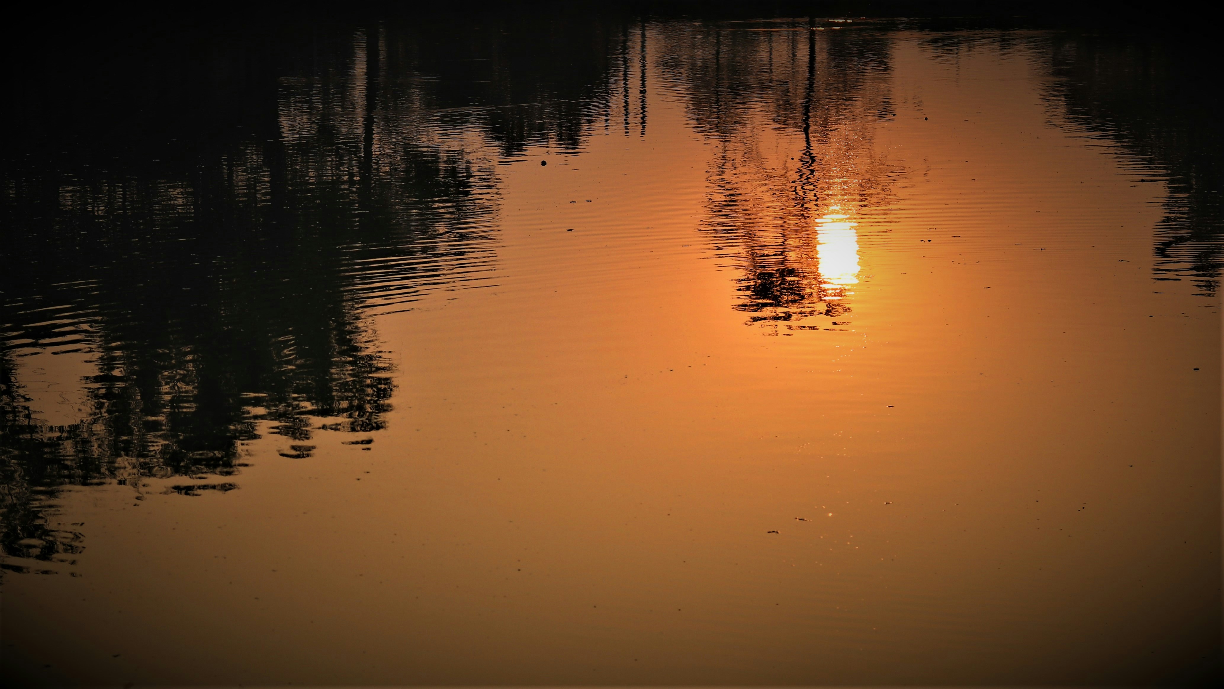 Inverted Pictures | Download Free Images on Unsplash