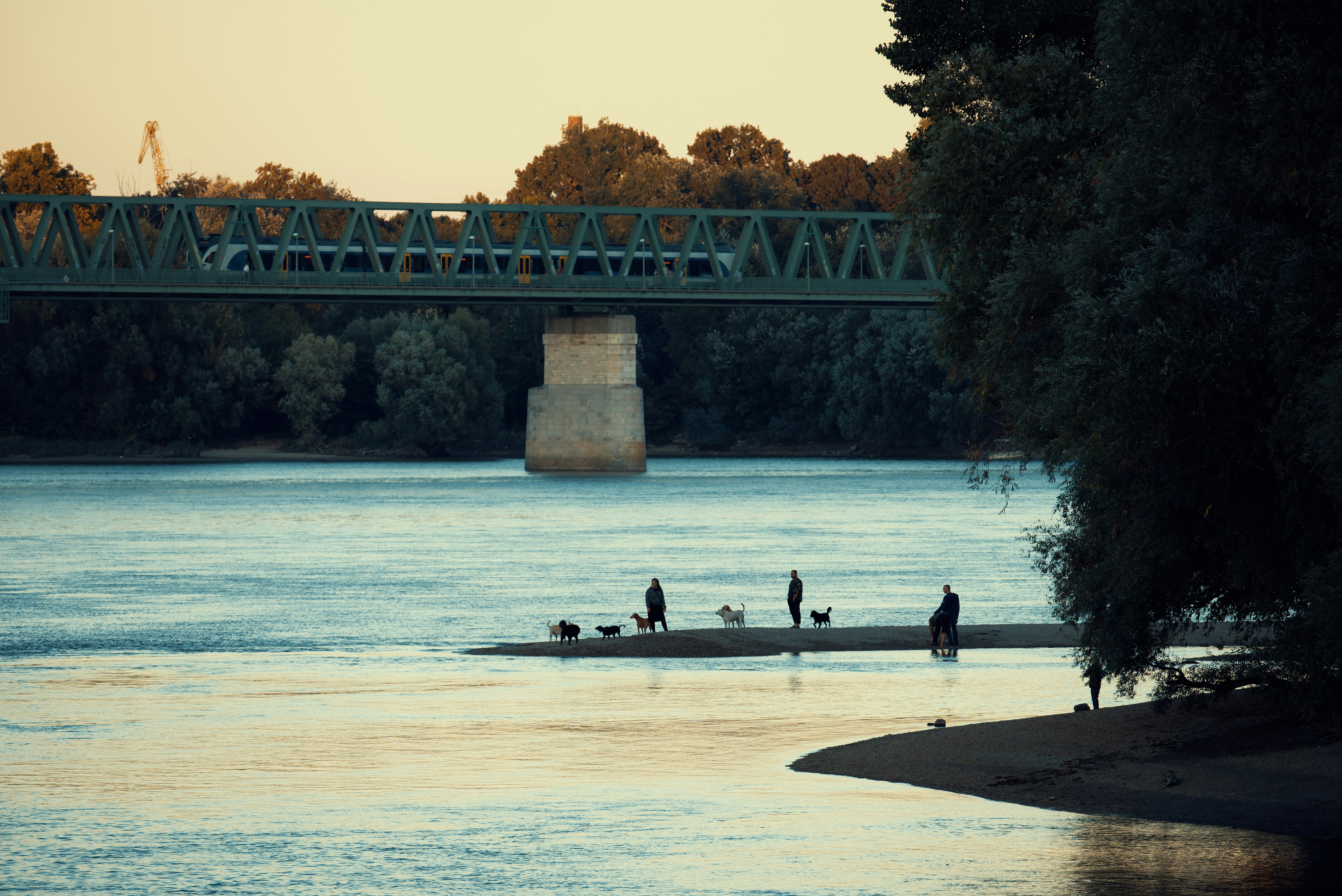 A group of people walking along a river next to a bridge photo – Free ...