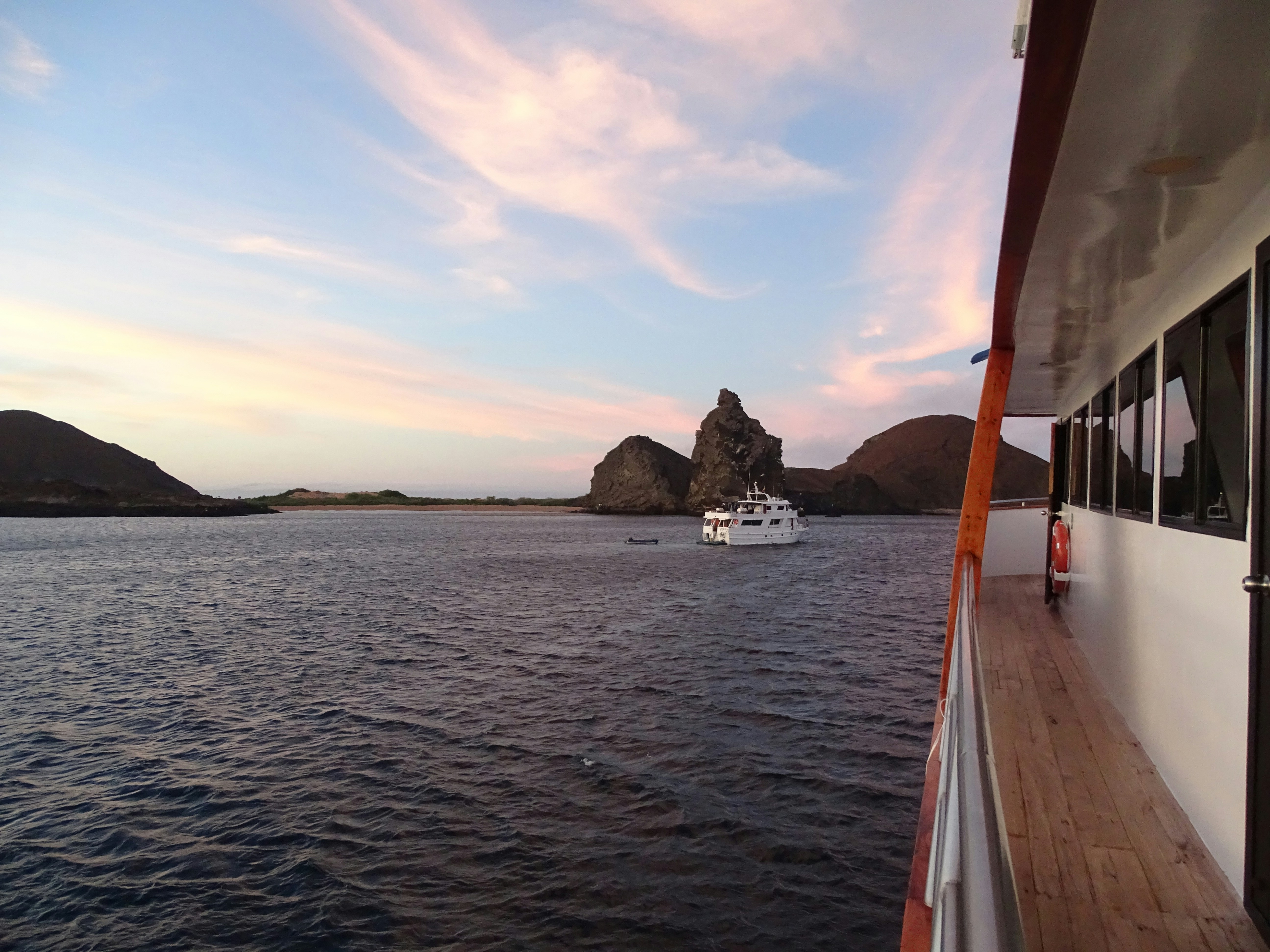 Andre Robles (@galapagosvoyagerstravel) | Communauté photos Unsplash