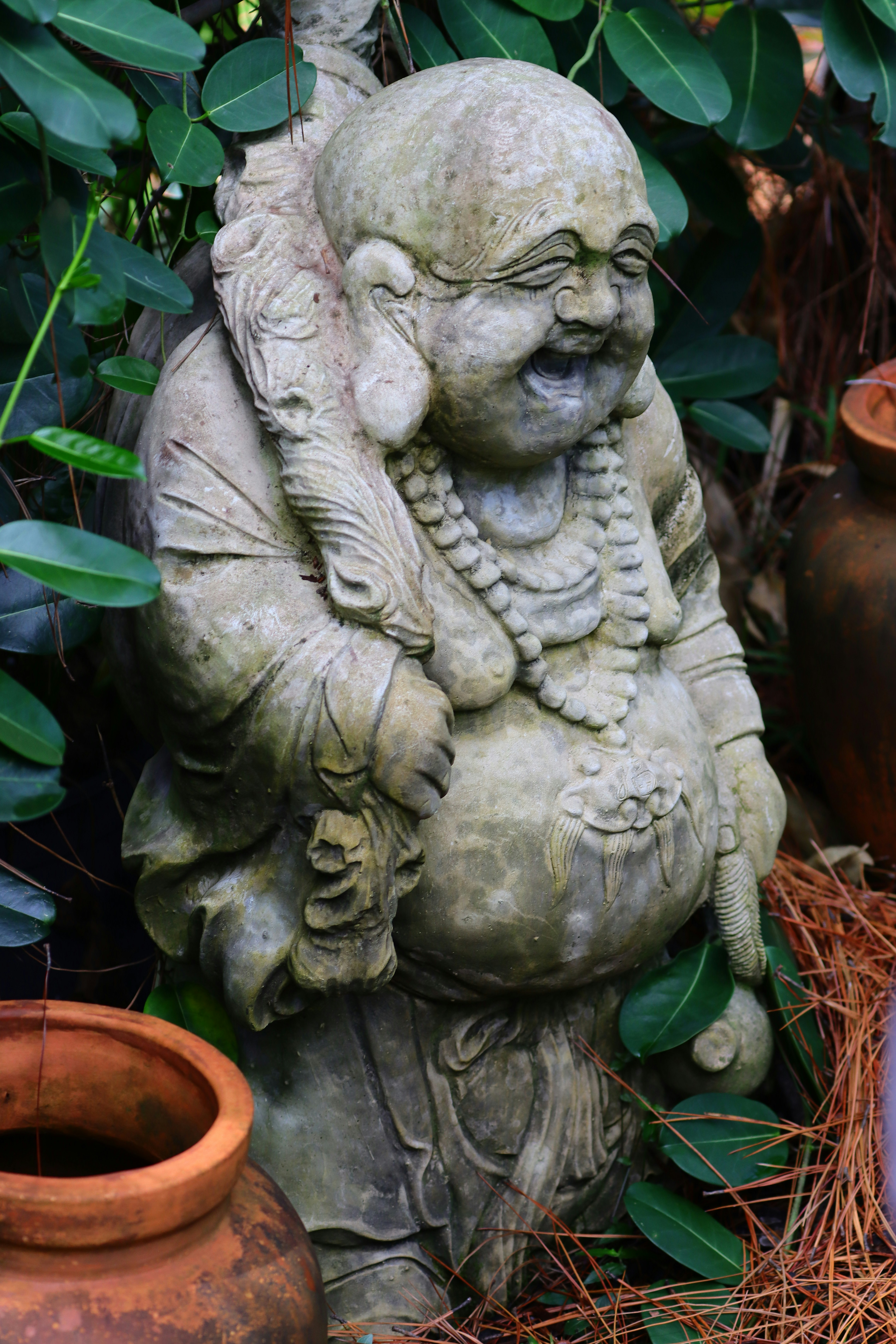 Stone Laughing Buddha Among Verdant Tendrils