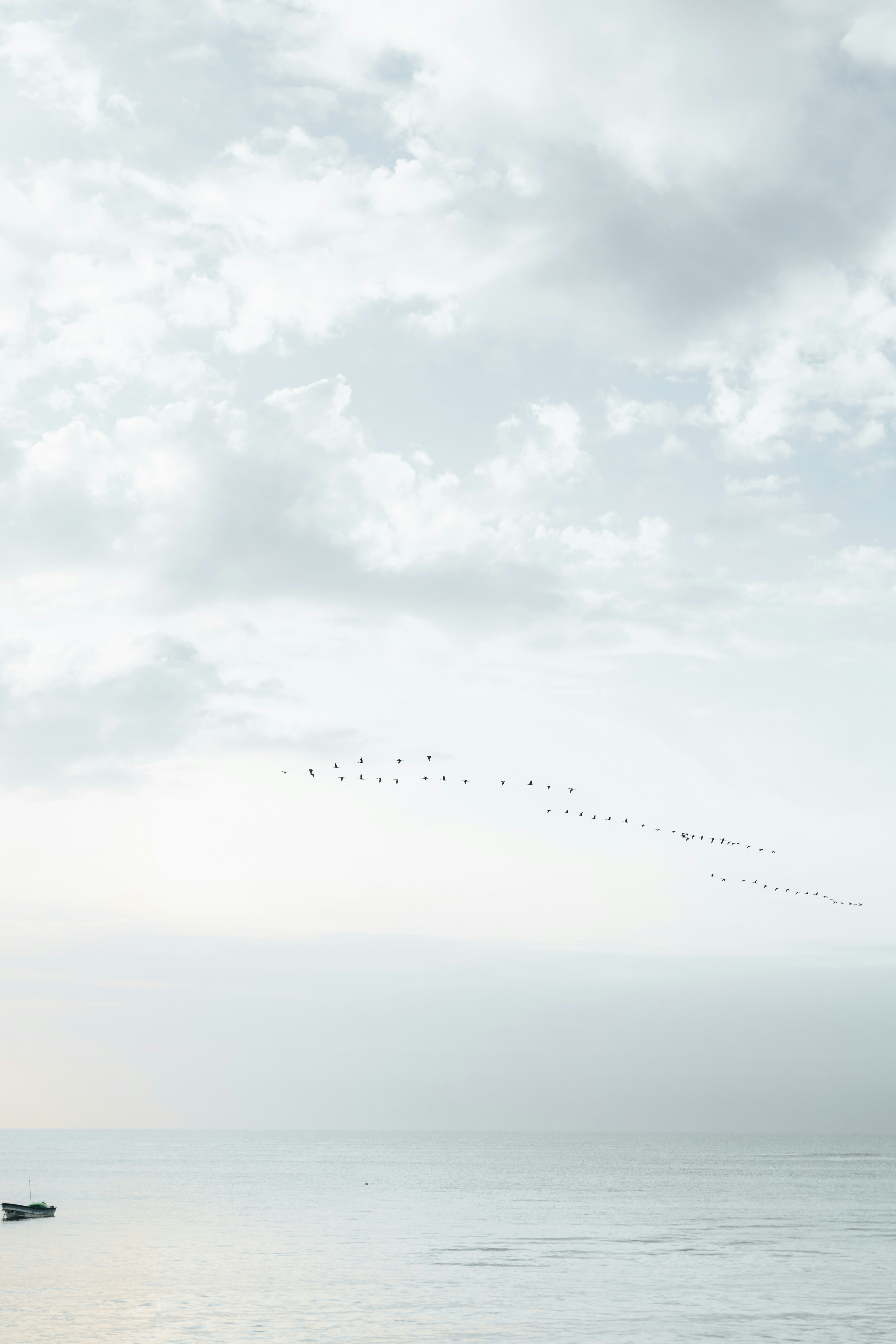 Une volée d’oiseaux survolant l’océan photo – Photo Playa Farallón ...
