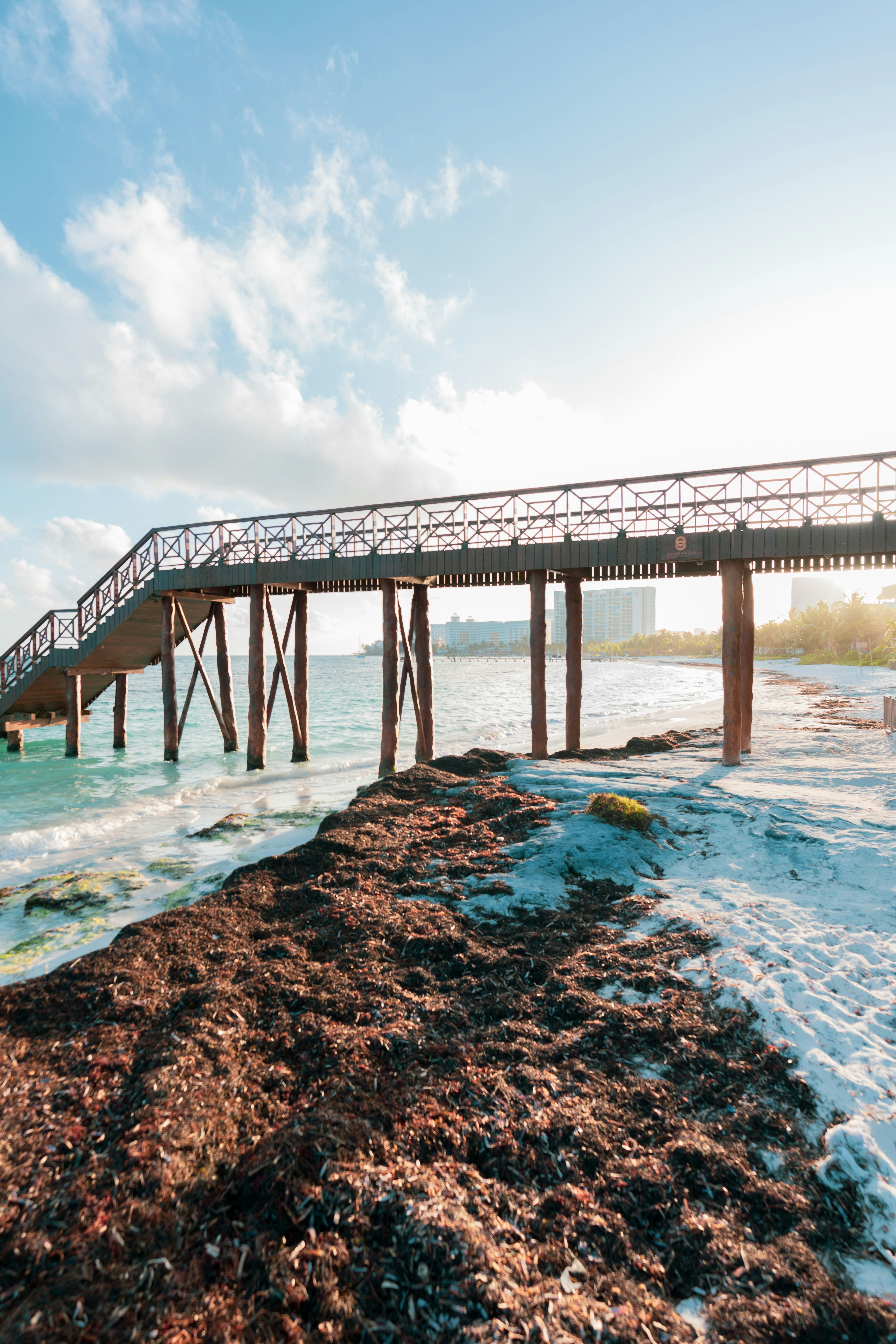 Serenity at the Shoreline: A Wooden Pier's Embrace