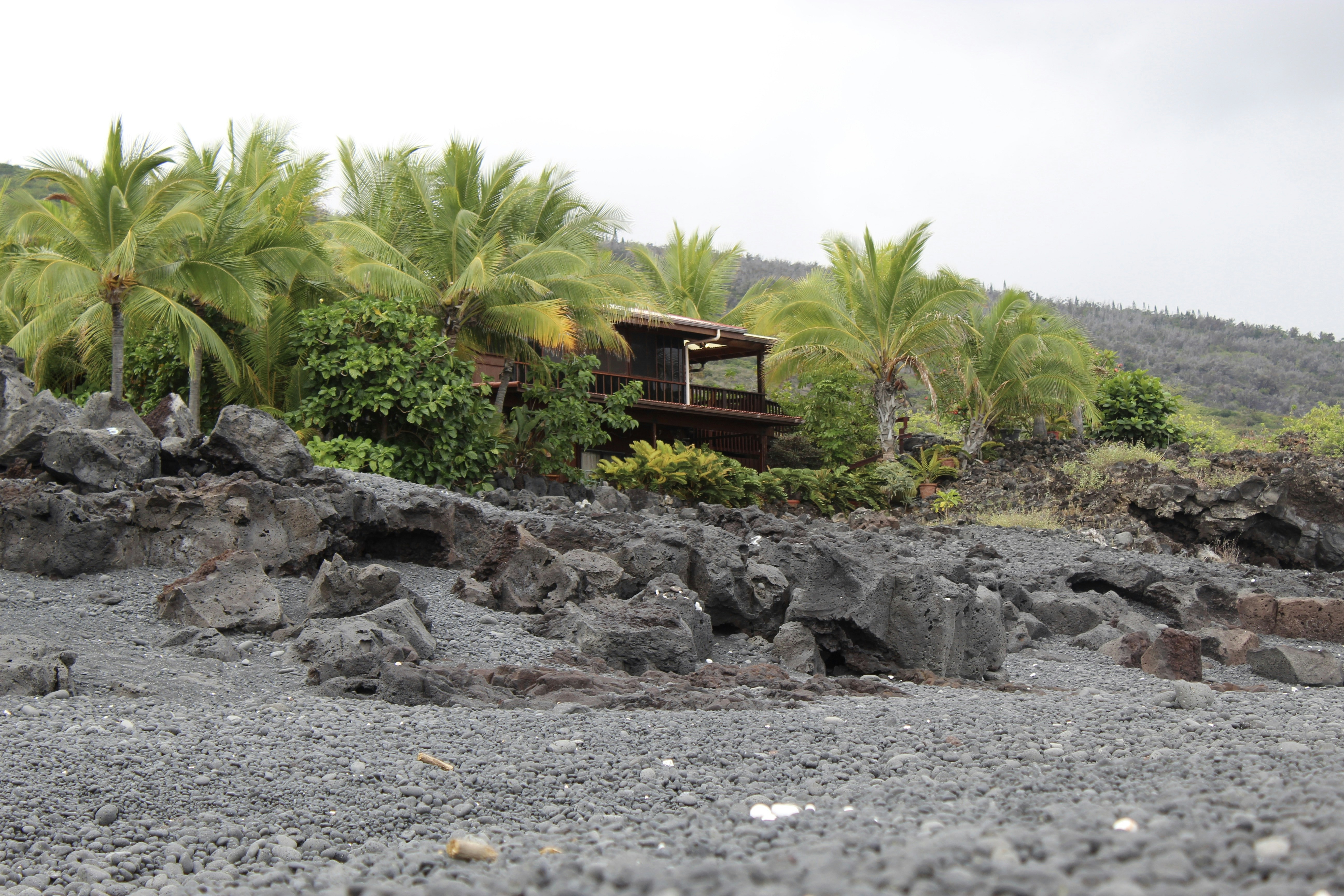 Lush palm trees surround a rustic wooden structure on a rocky volcanic beach, creating a unique contrast between nature and architecture.
