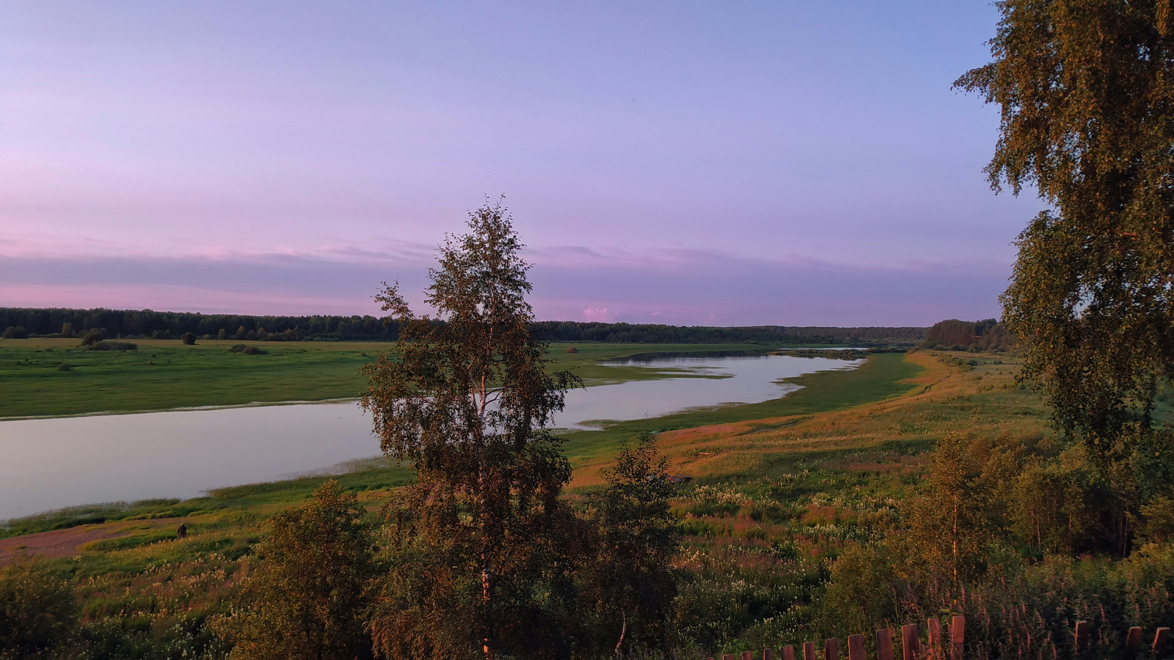 Verdant riverbank landscape at dusk with a meandering waterway, grasses and willows under a pink-purple sky.