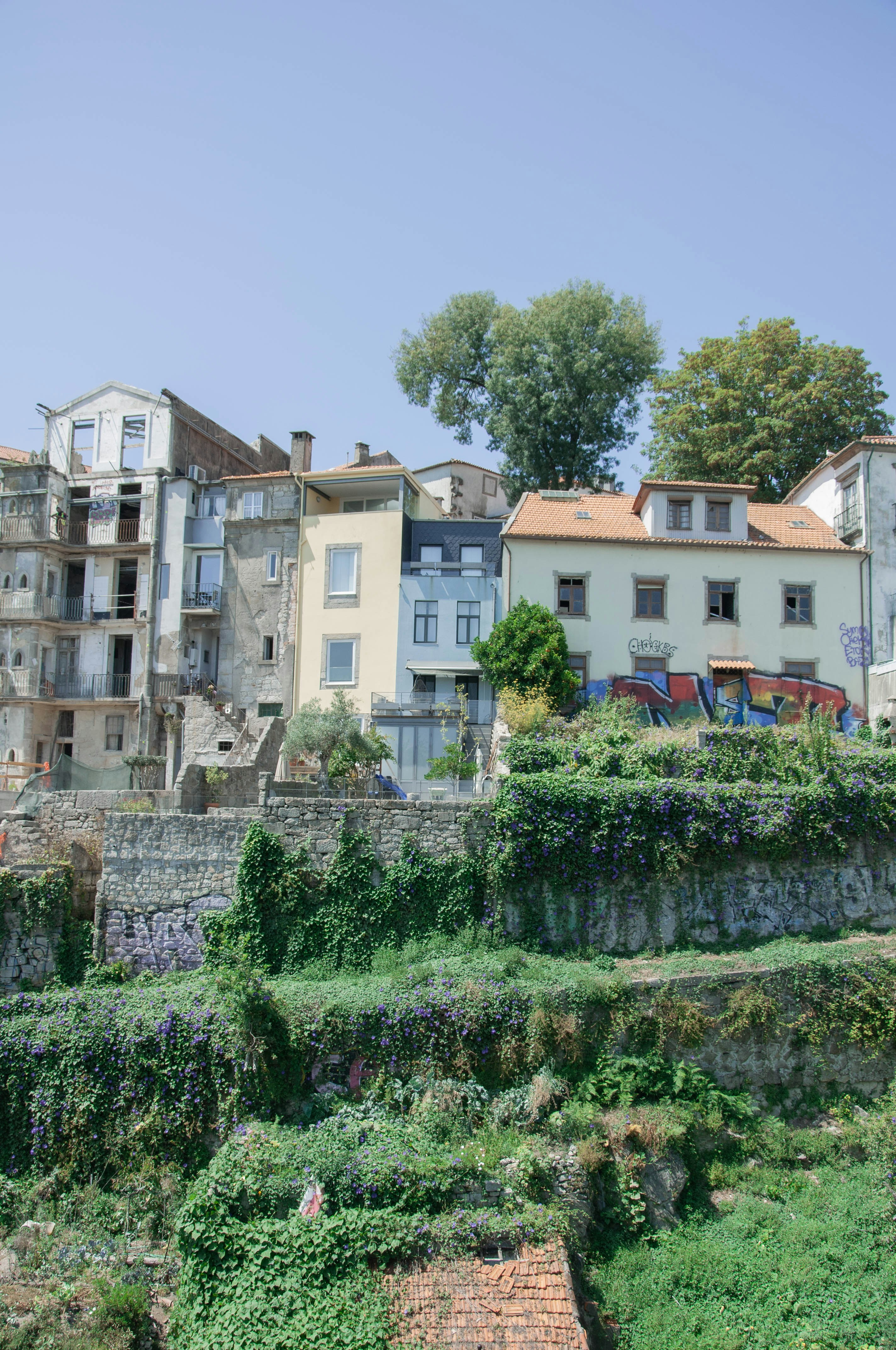 Colorful houses nestled against a lush, green hillside adorned with flowers and foliage. The scene captures a harmonious blend of nature and urban living.