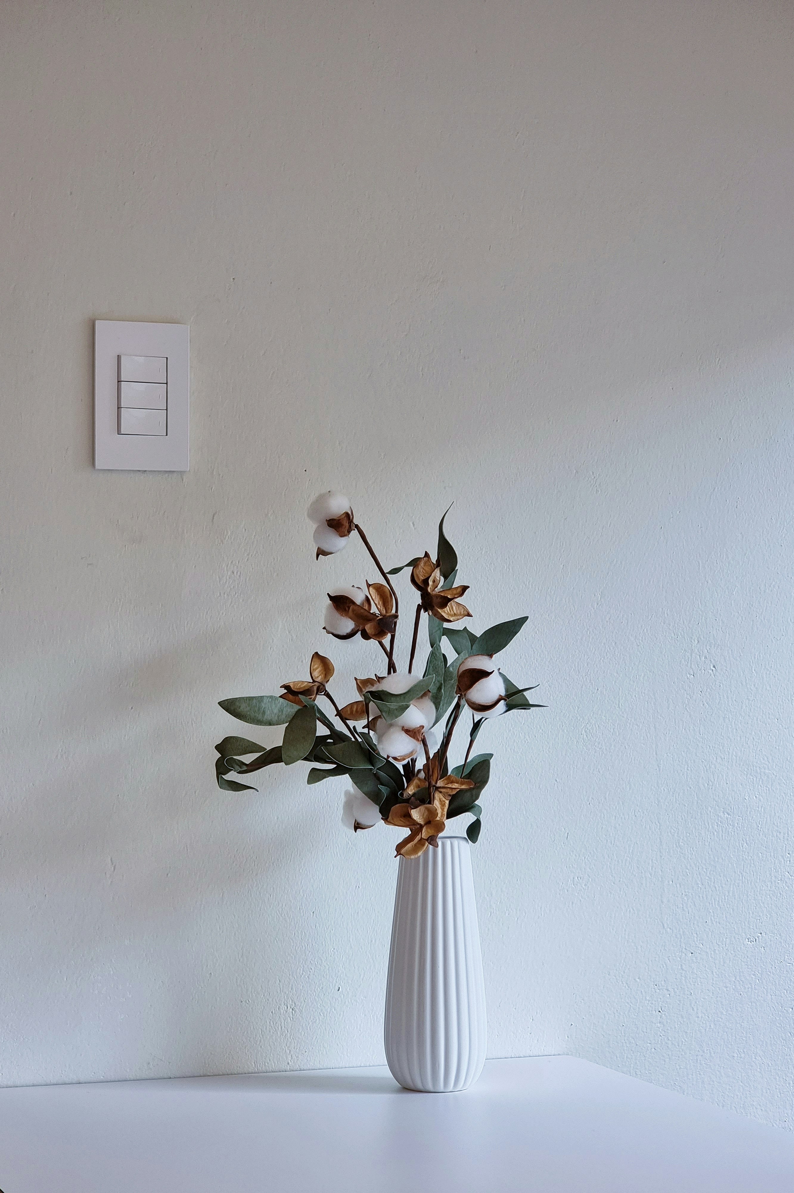 Vertical Simplicity: Cotton Bouquet in a Tall Ribbed Vase
