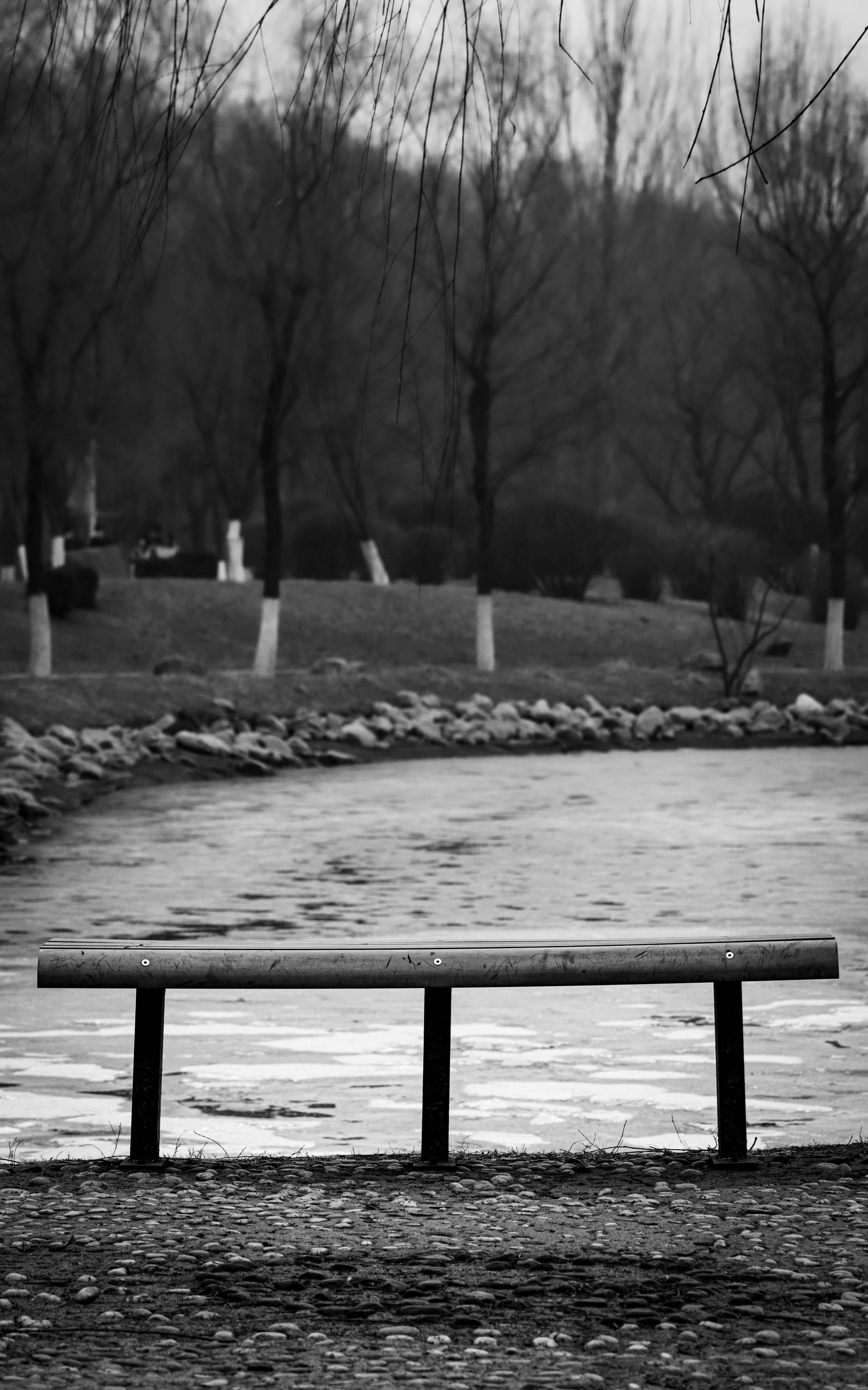 Foto Una foto en blanco y negro de un banco en un parque – Imagen Banco ...