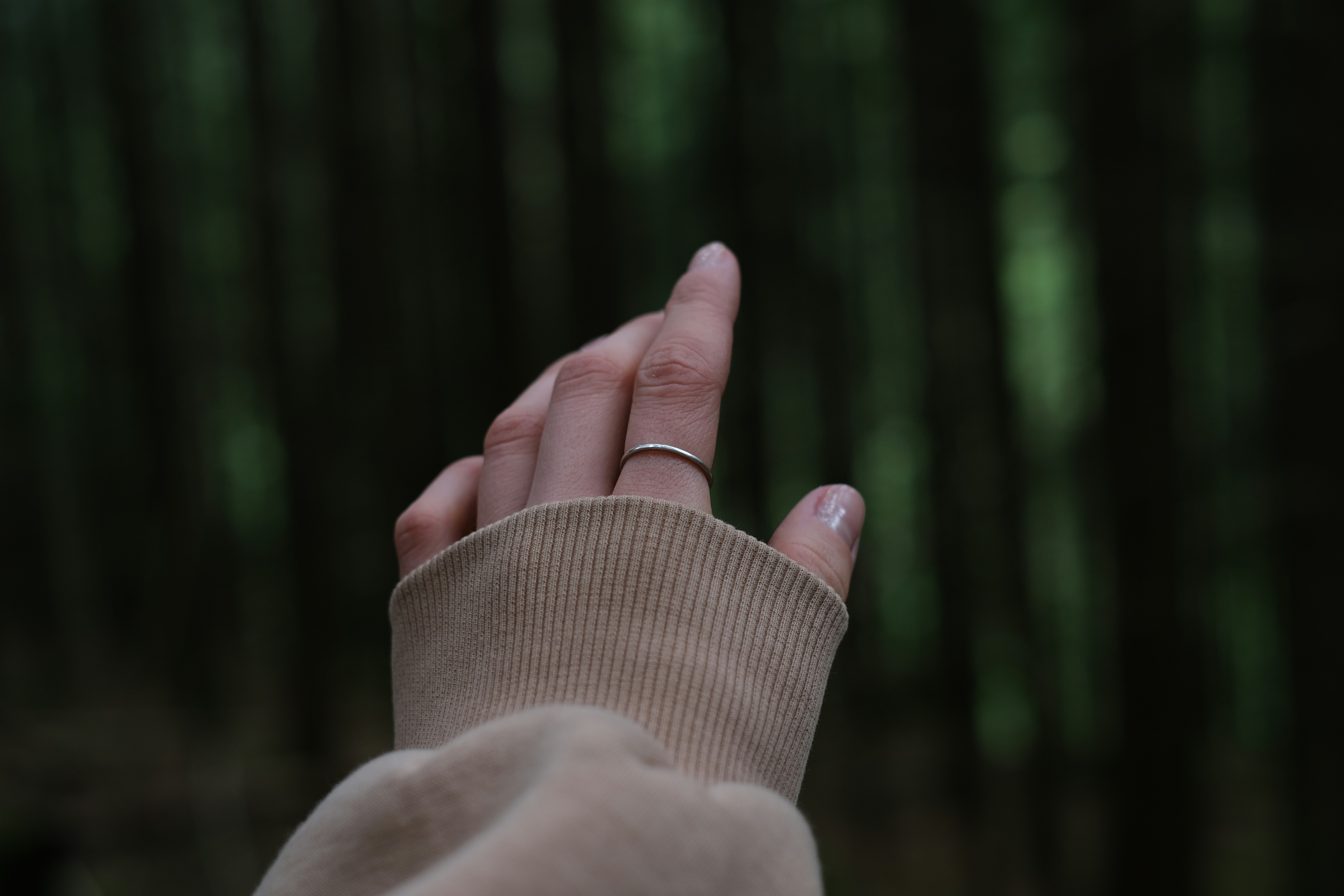 A hand adorned with a delicate ring reaches out against a backdrop of tall, shadowy trees, emphasizing a connection to nature.