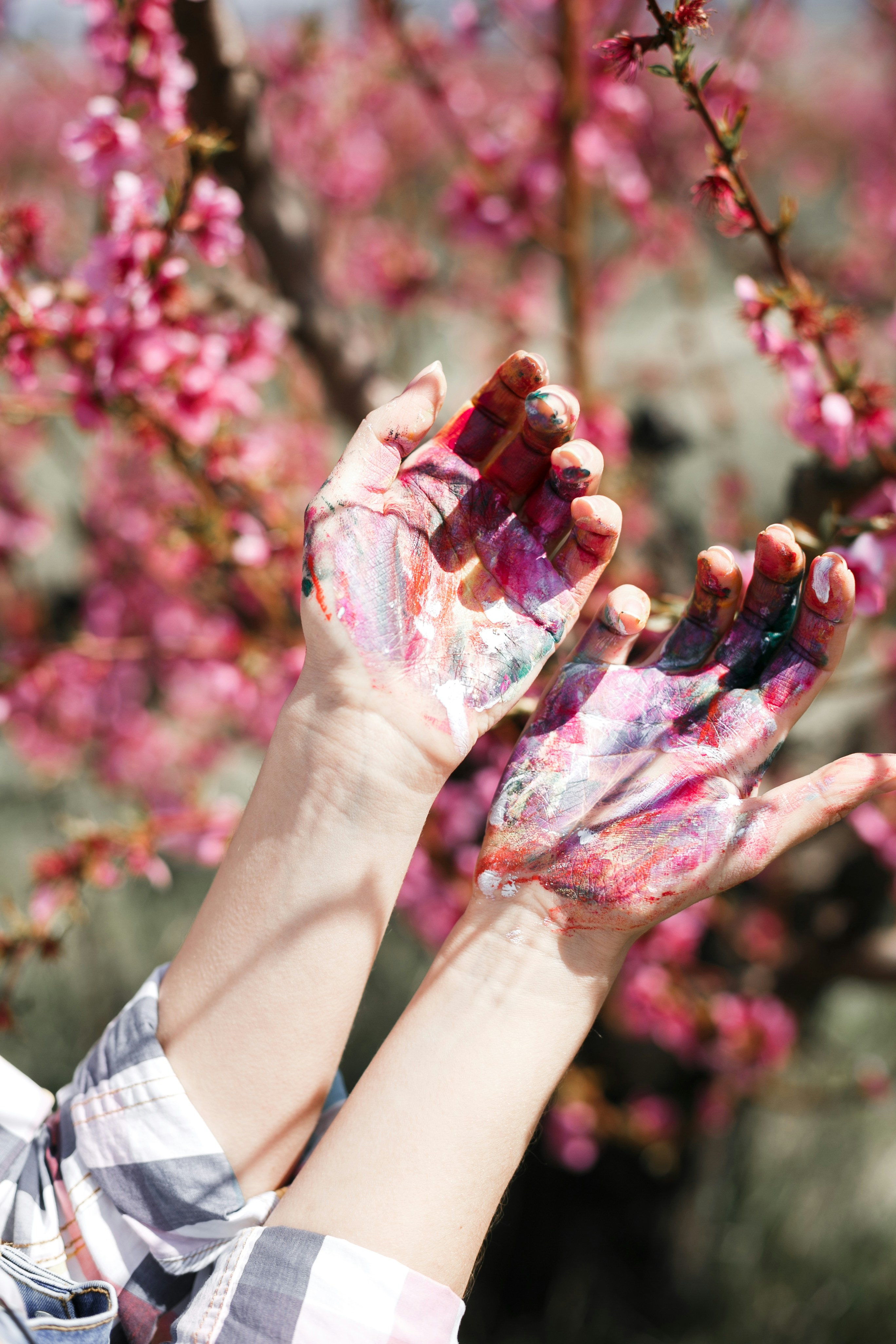 Blooms and Hands: Color-stained Moments Under Pink Blossoms