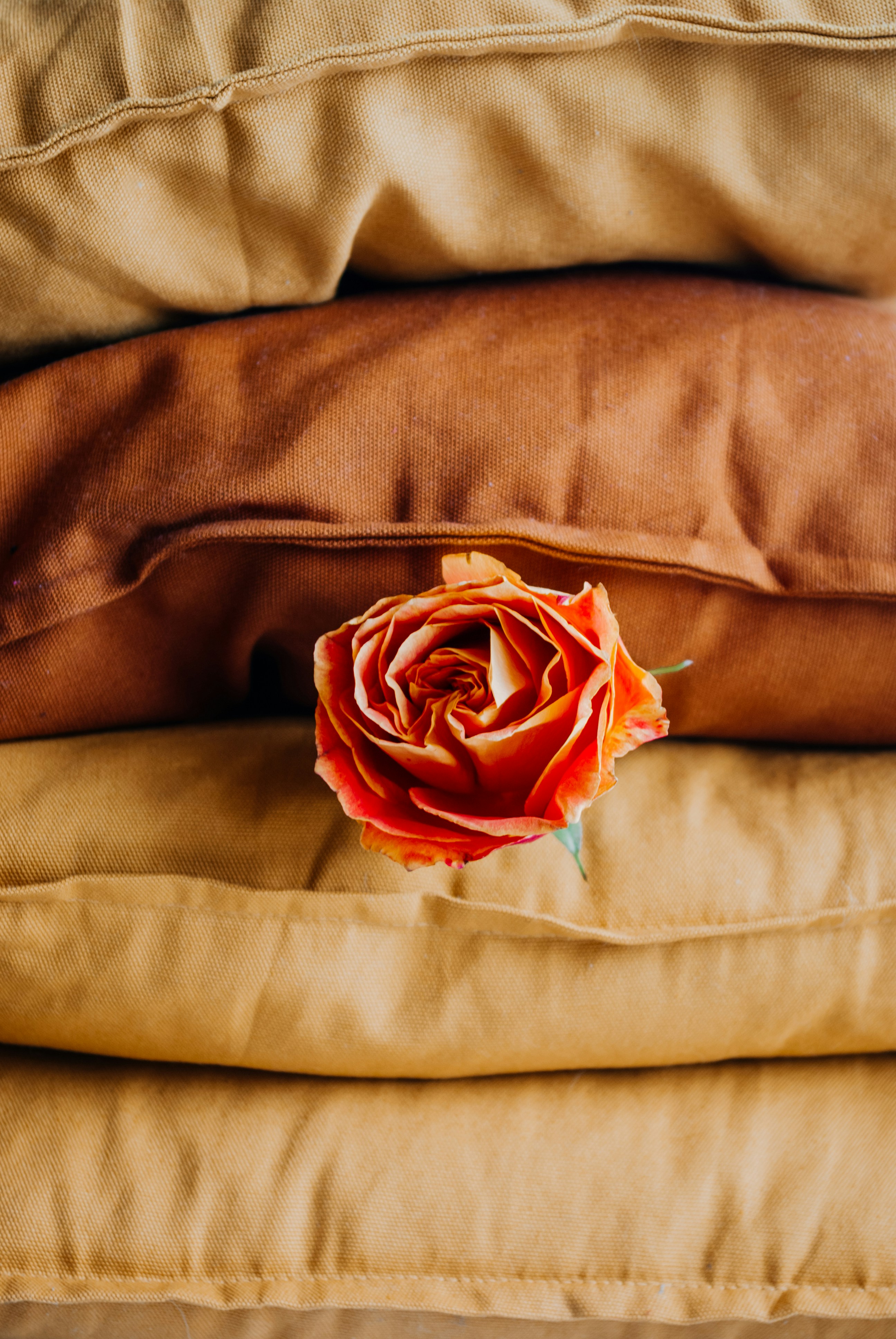 Close-up photograph of an orange rose nestled between layered beige cushions, highlighting warm tones and soft textures.
