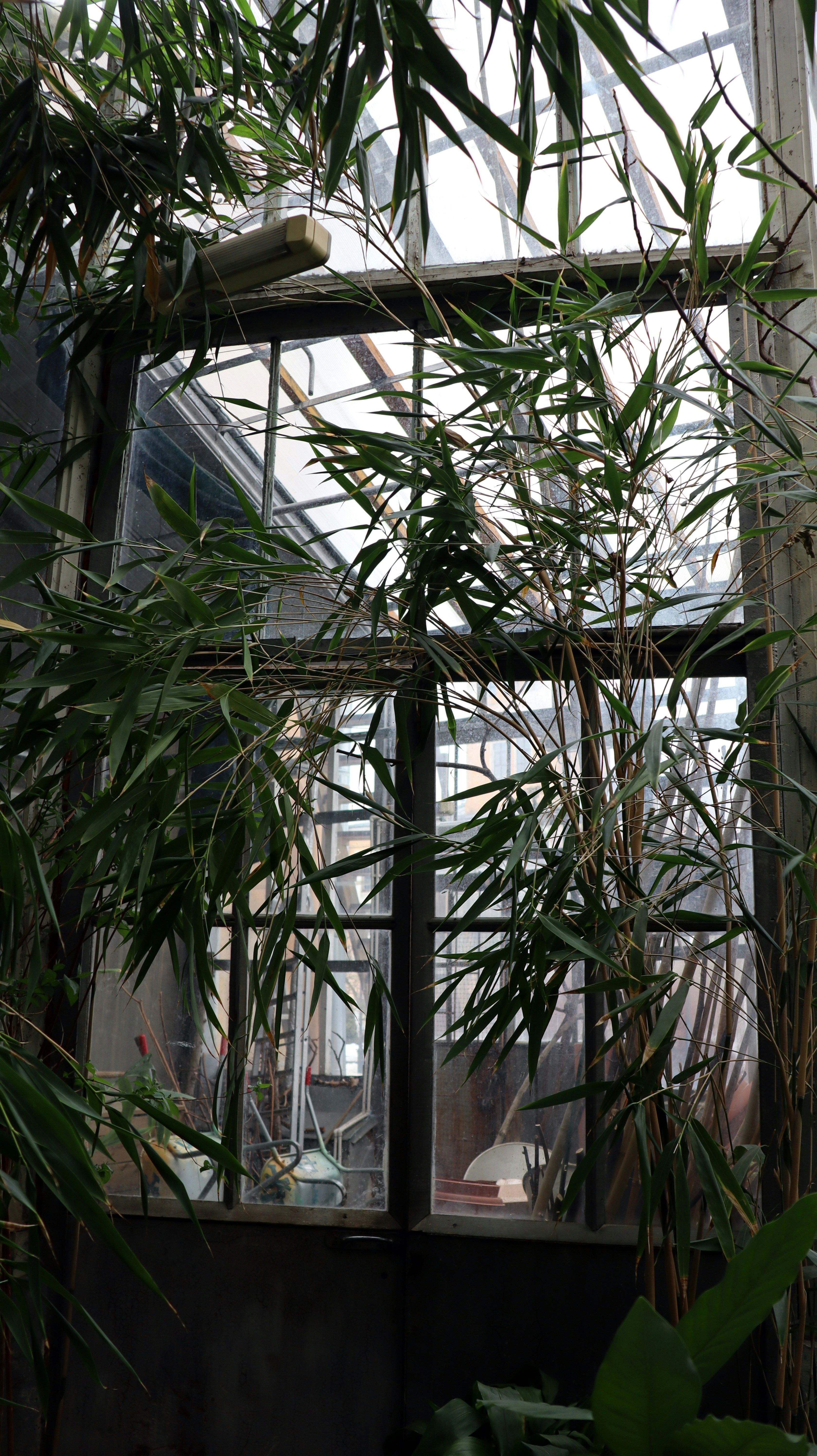 a green house with lots of plants inside of it
