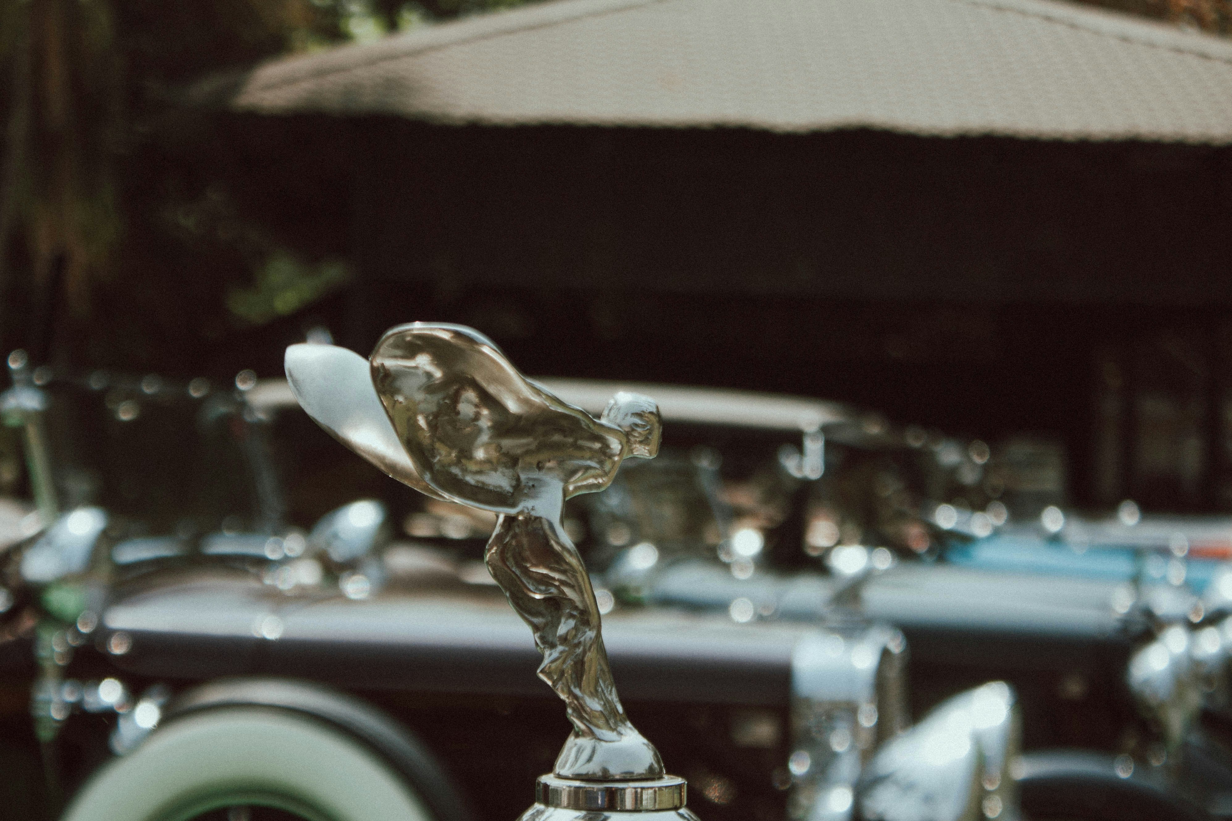 Chrome Bird Amidst Timeworn Rides: Hood Ornament Close-Up