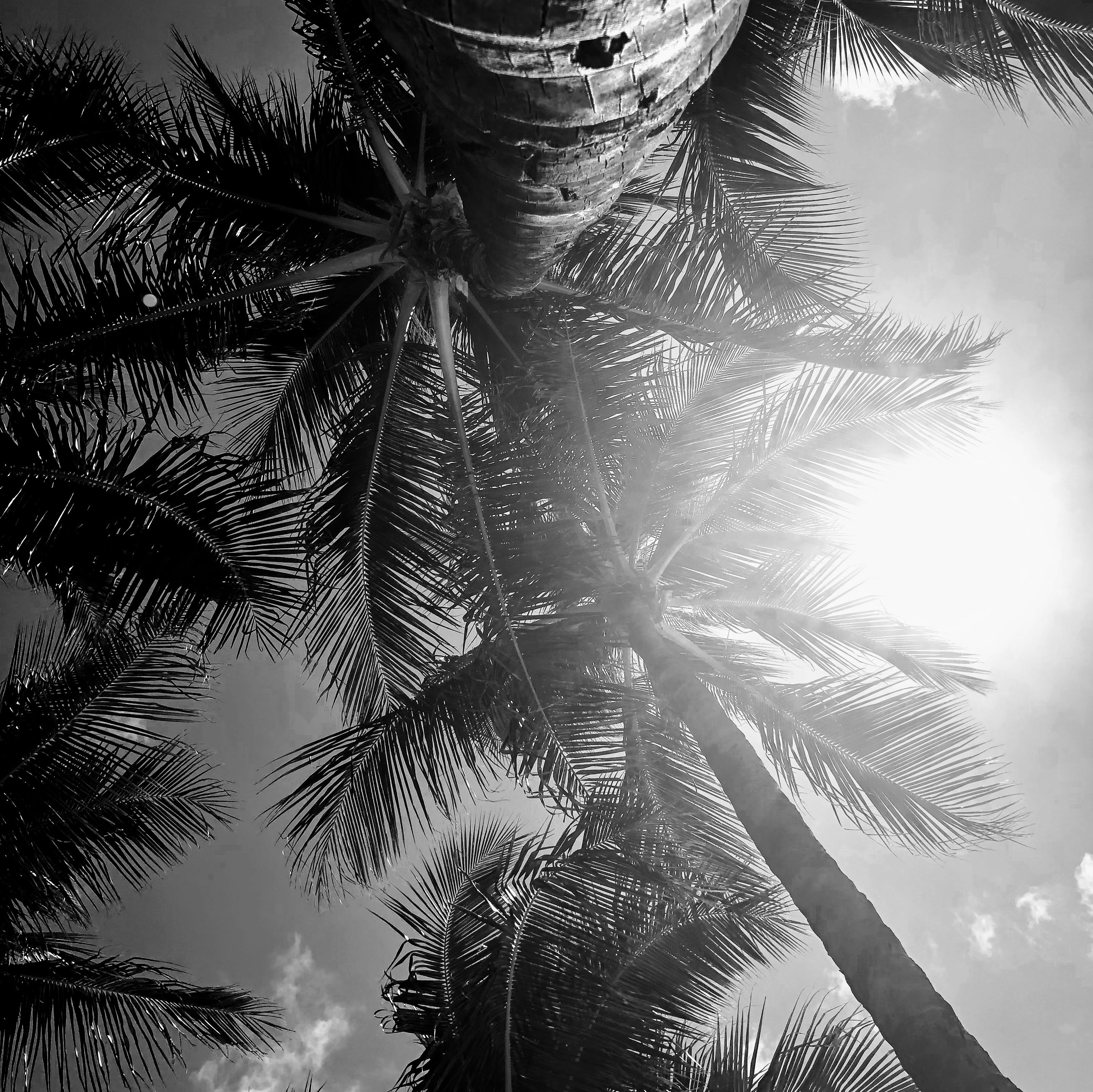 Akito (@akito) | Komunitas Foto Unsplash