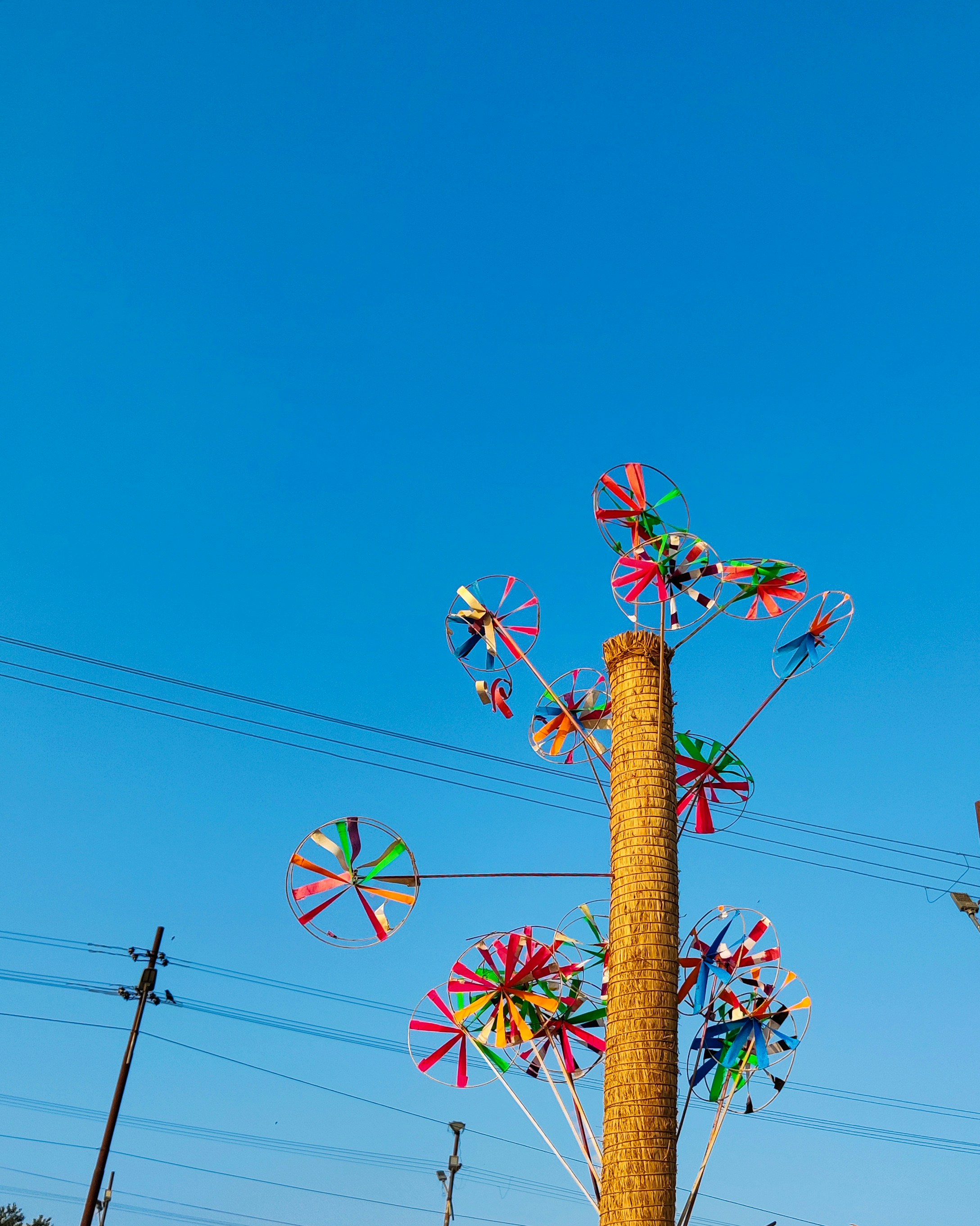 Pinwheels Pictures | Download Free Images on Unsplash