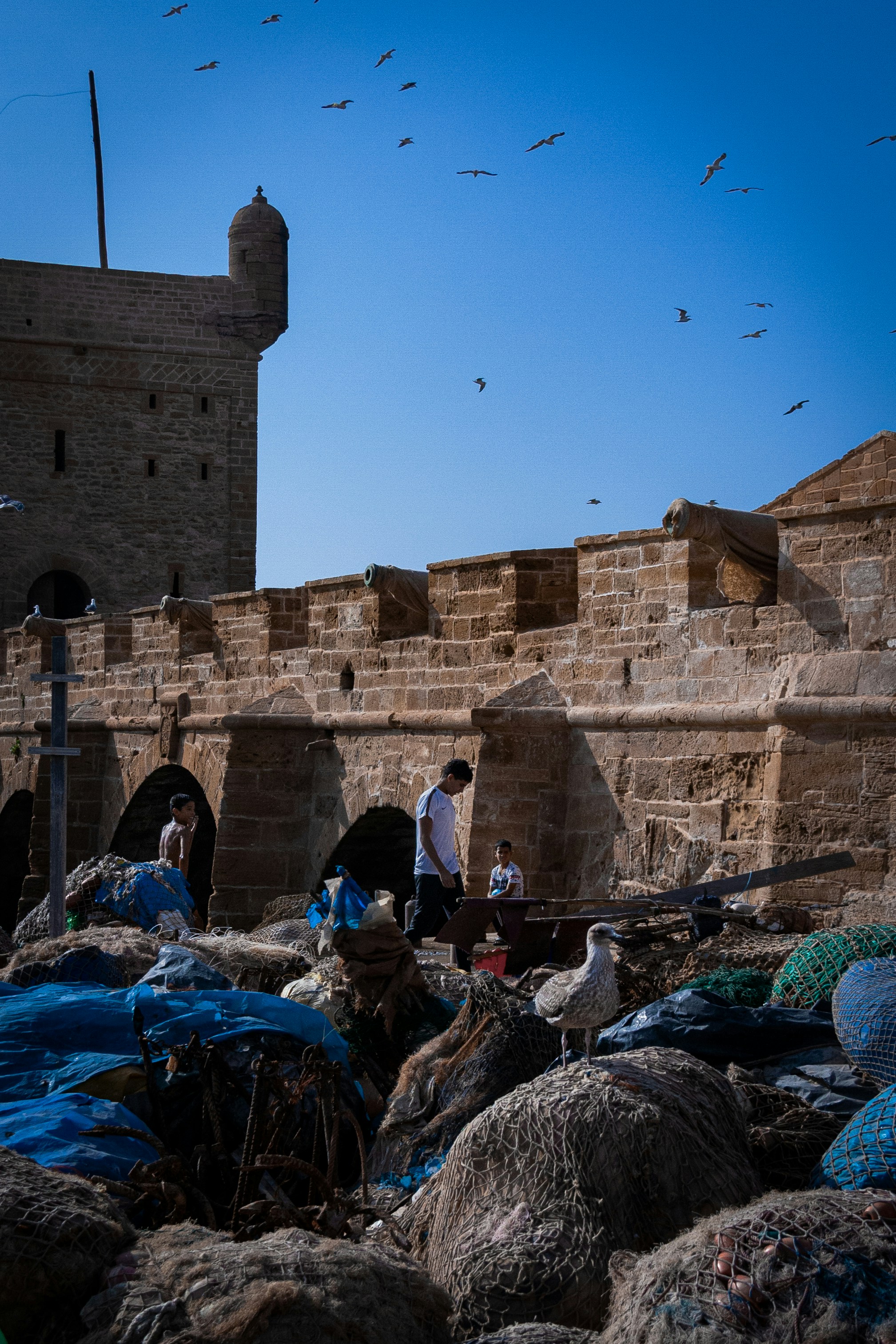 A flock of birds flying over a stone wall photo – Free Fort Image on ...