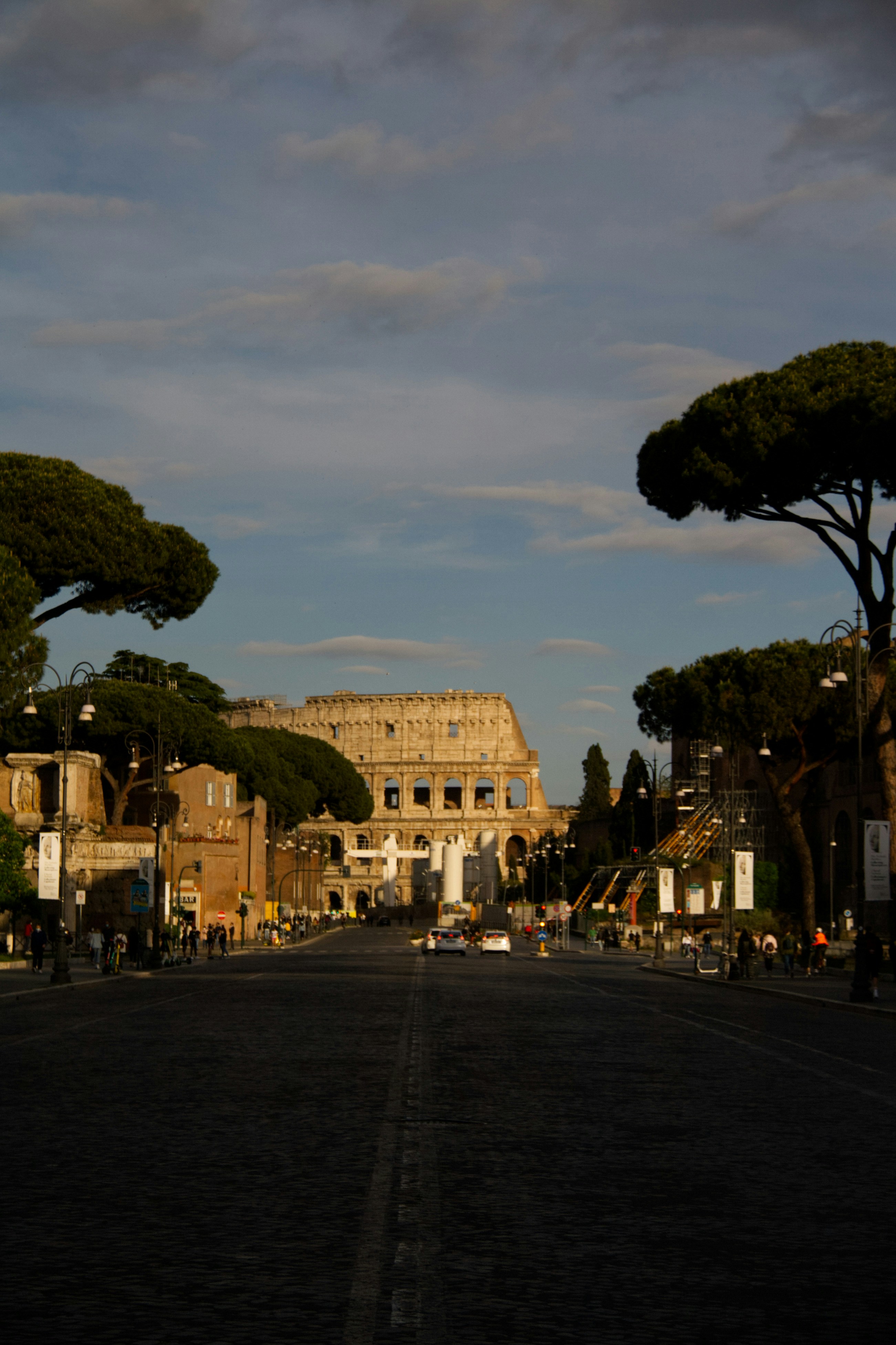 Historic view of the Colosseum framed by tall trees along a cobblestone street, capturing the essence of Rome's architectural grandeur.