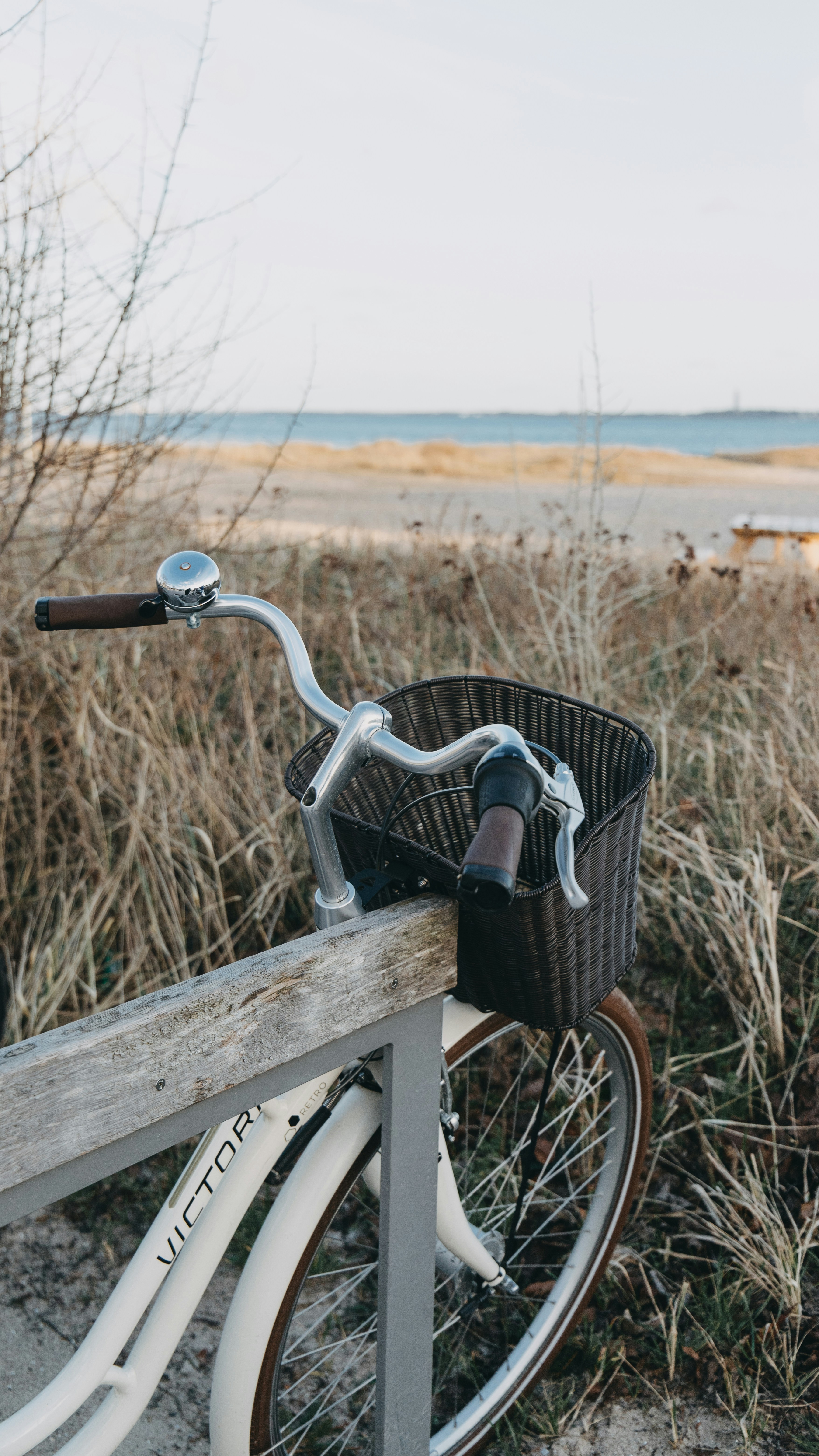 Basketed Bicycle at the Dune Rail, Seaward Horizon