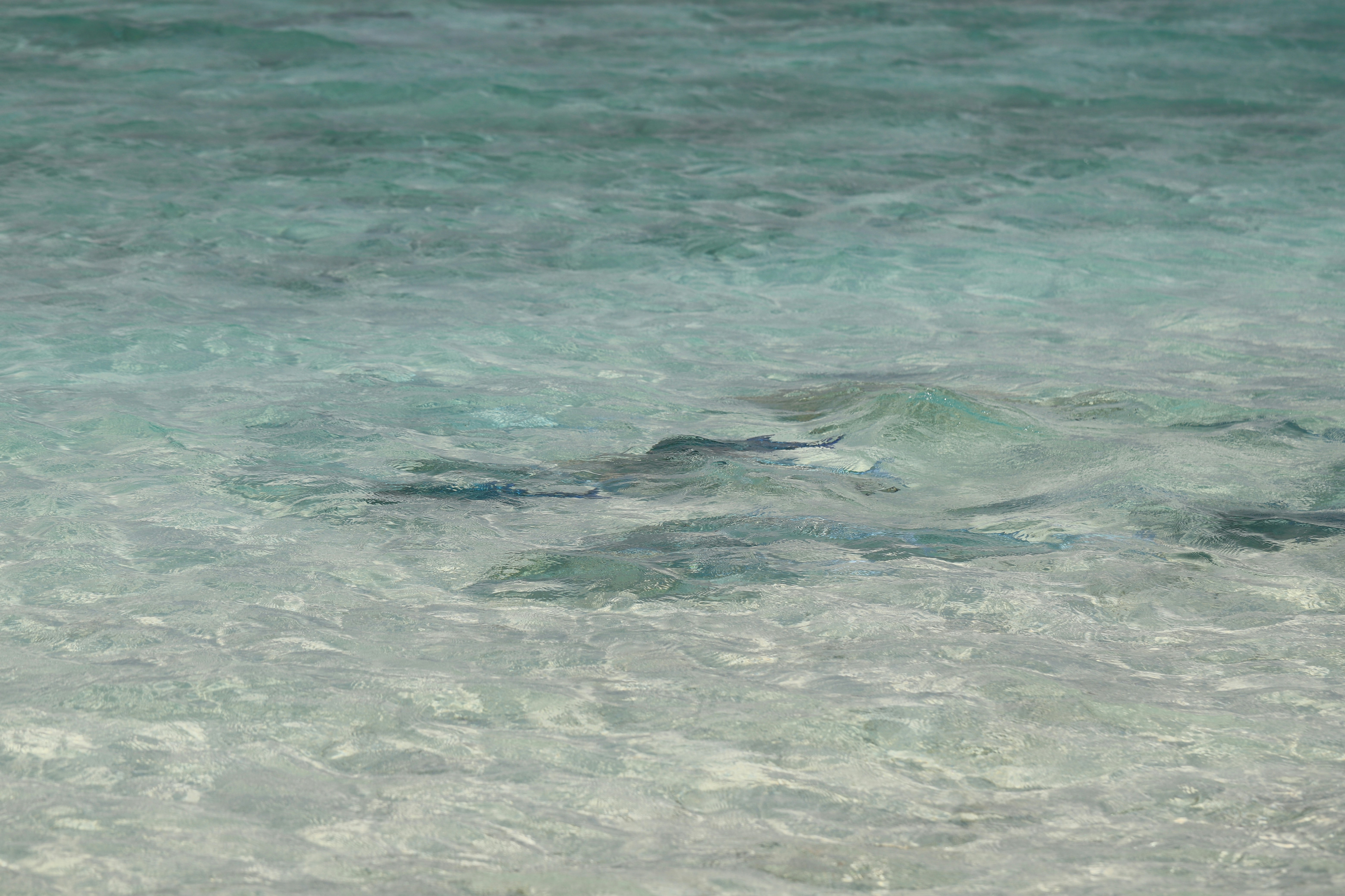 Photo by MARIOLA GROBELSKA with Canon EOS 6D Mark II