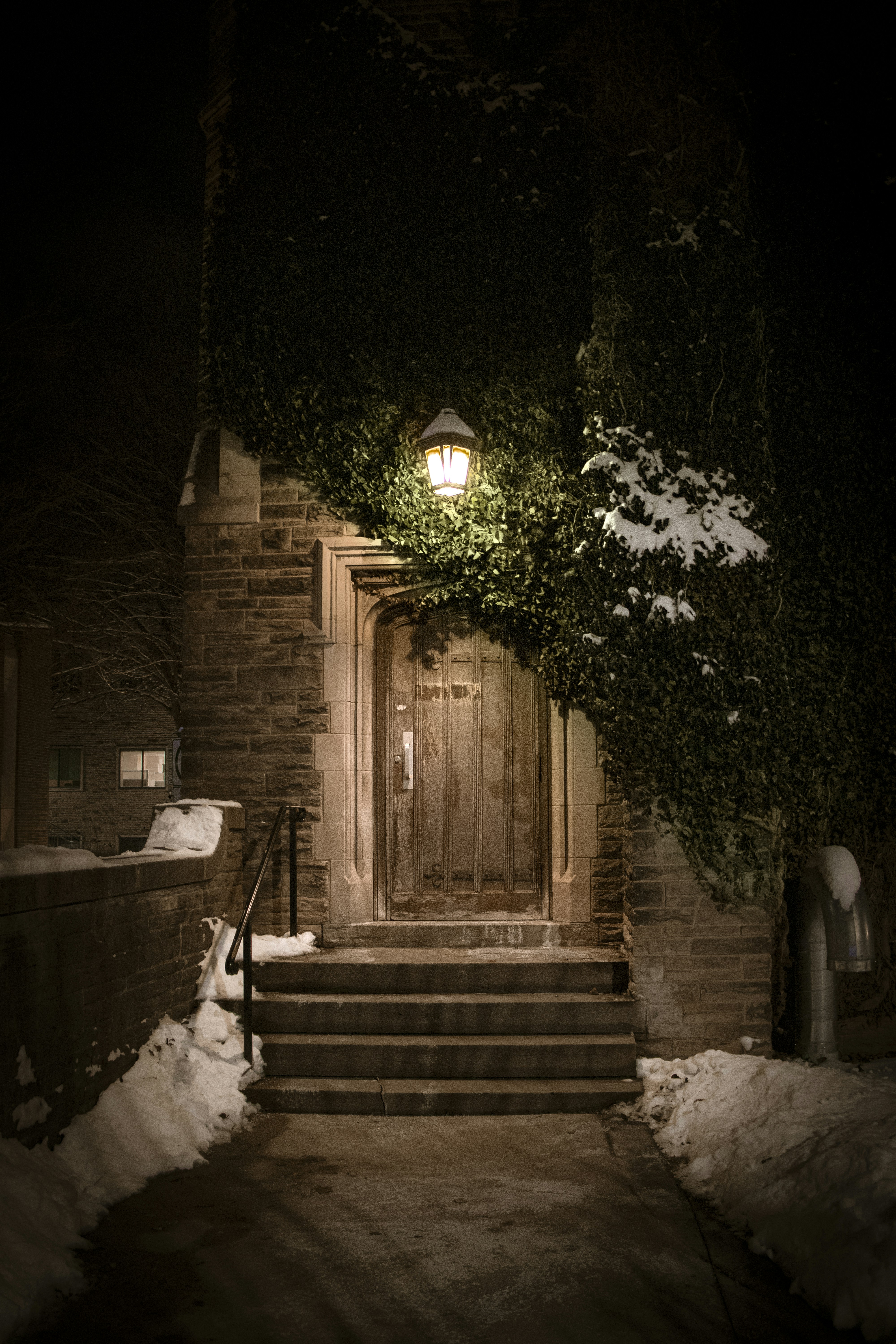 Ominous dim lit door with vines and snow