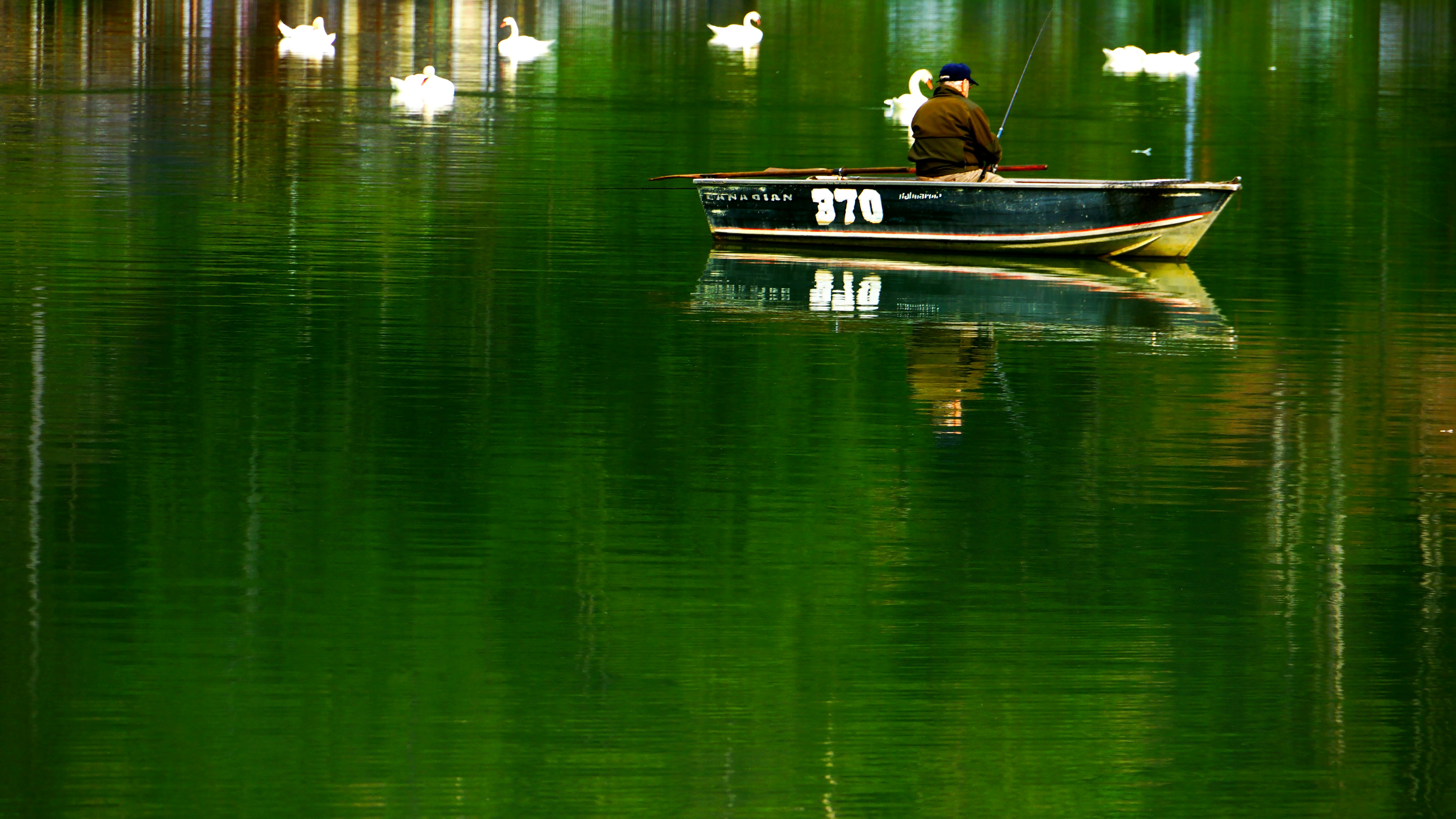 a man sitting in a boat on a lake surrounded by ducks