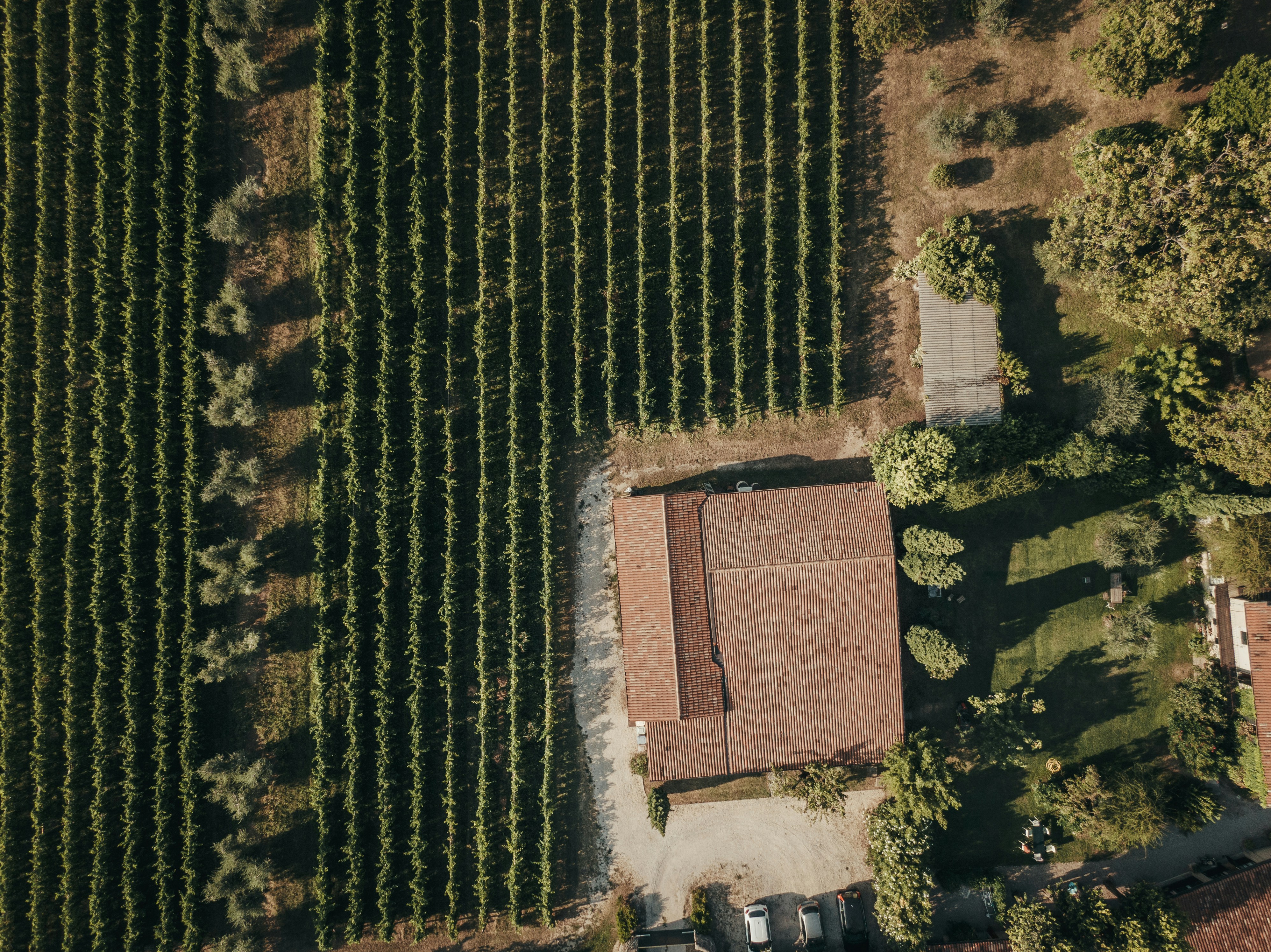 An aerial view of a farm and a house photo – Free Landscape Image on ...
