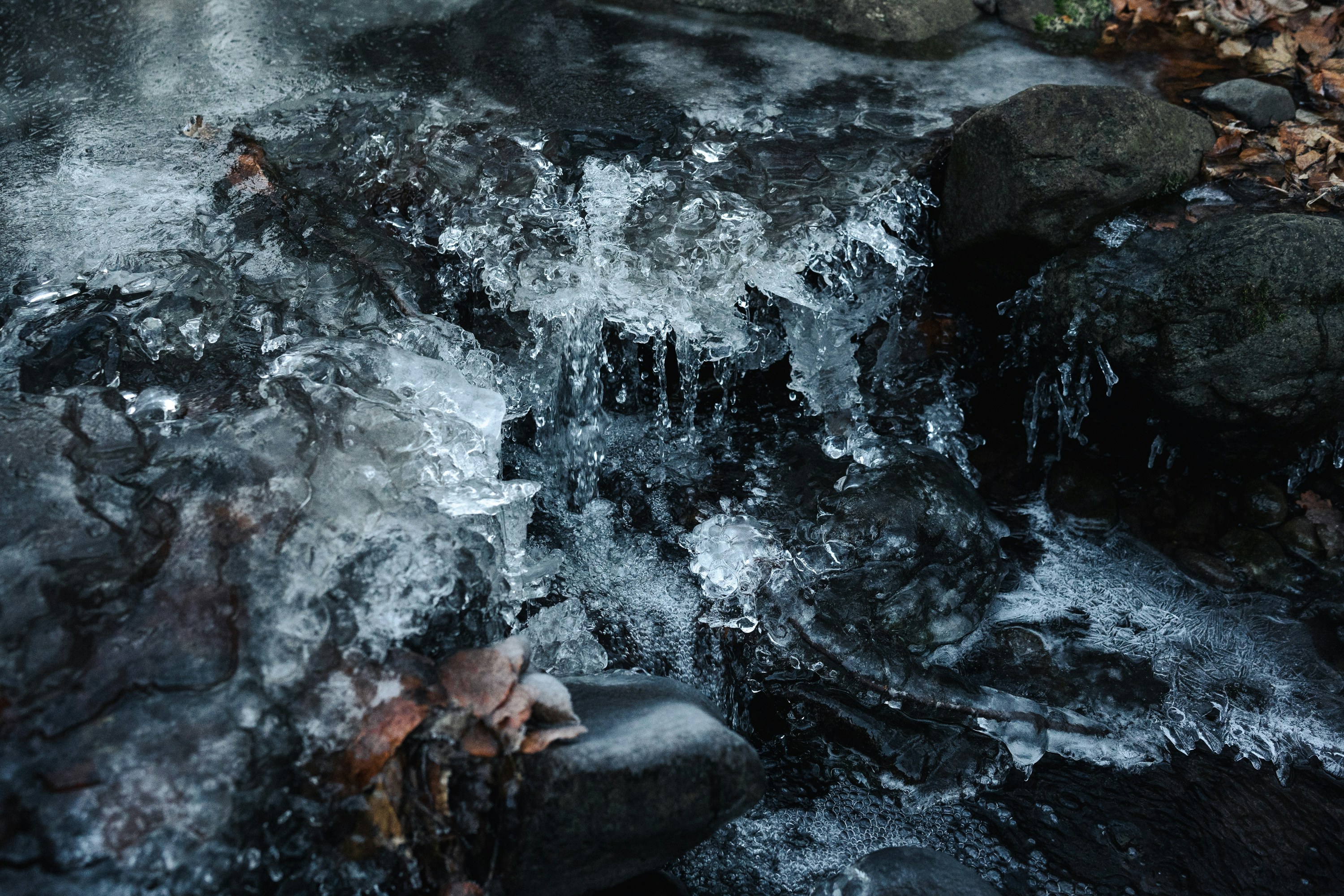 A stream of water running over rocks in a forest photo – Free Hungary ...