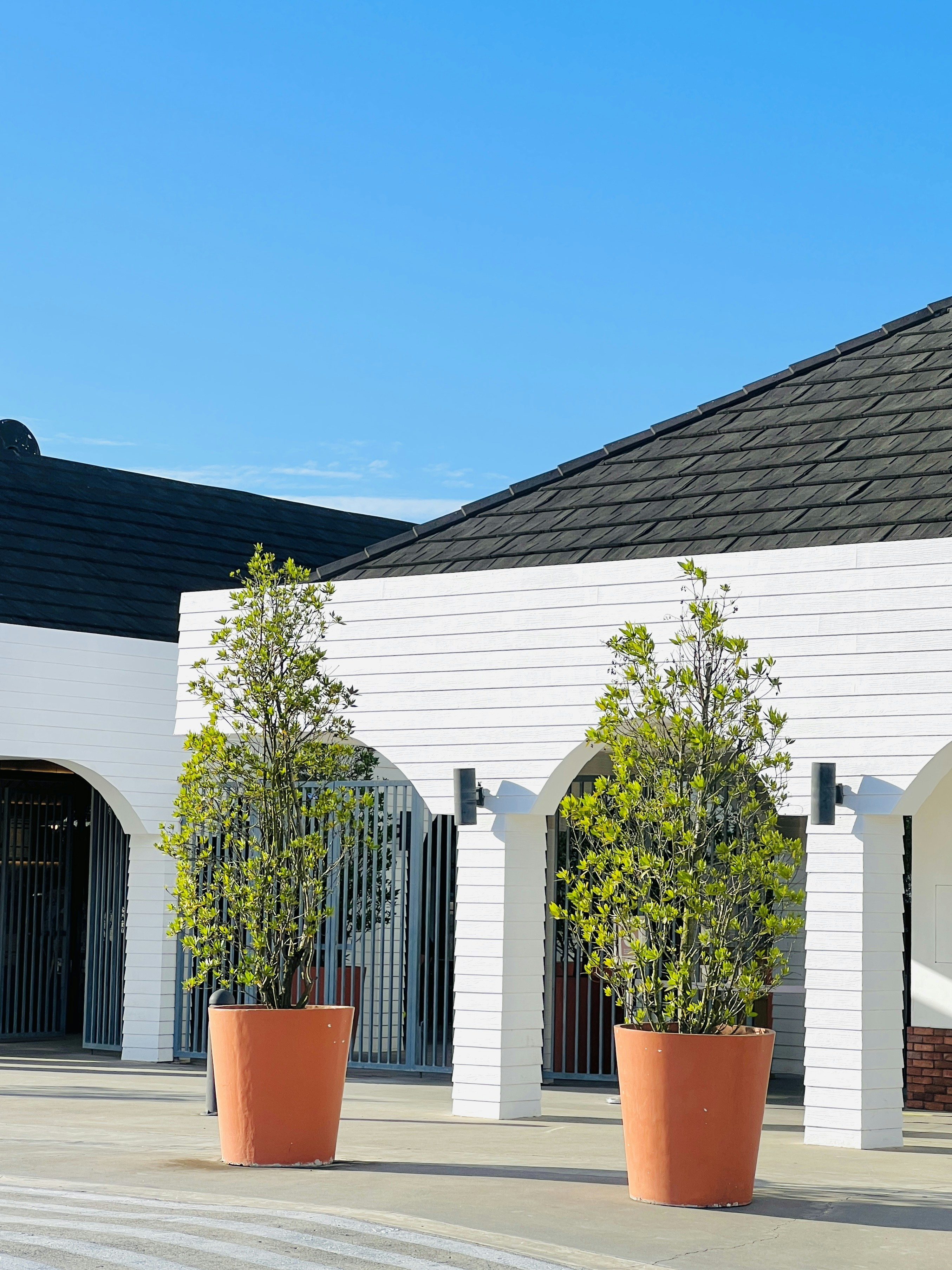 a couple of large potted plants in front of a building