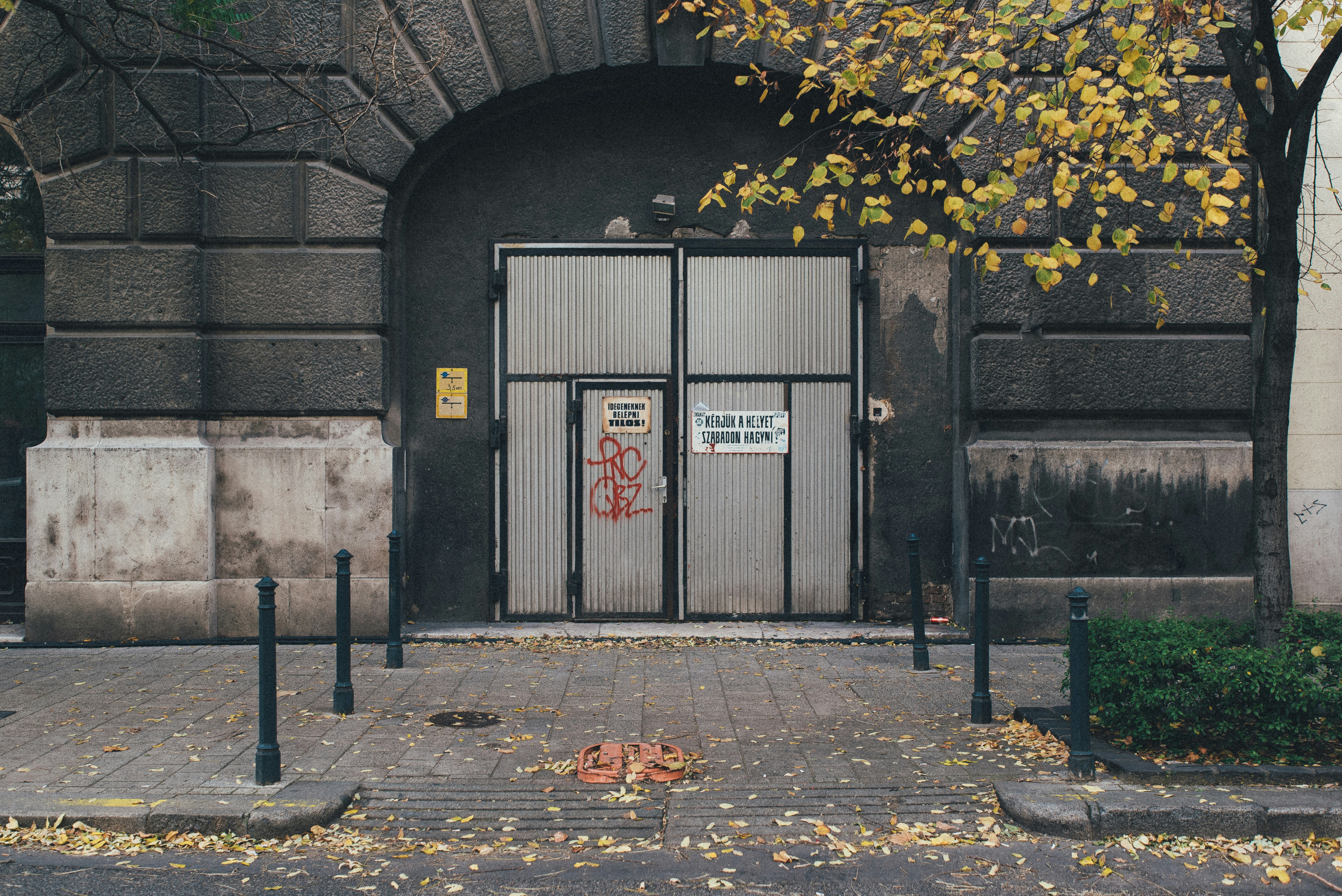 Iron Gate Under the Archway: Autumn Street Silence
