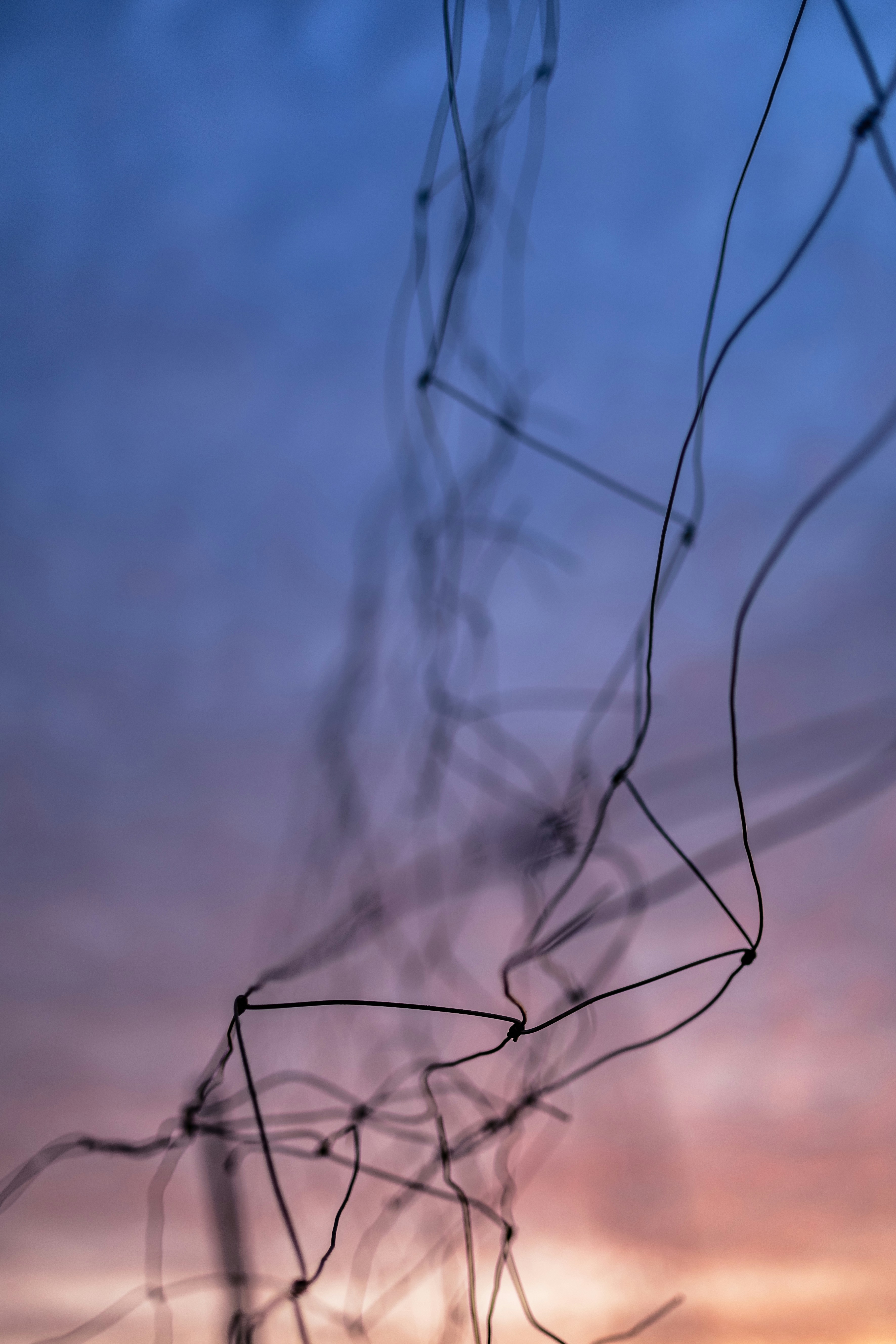 Interlaced Cables at Dusk Over a Velvet Sky
