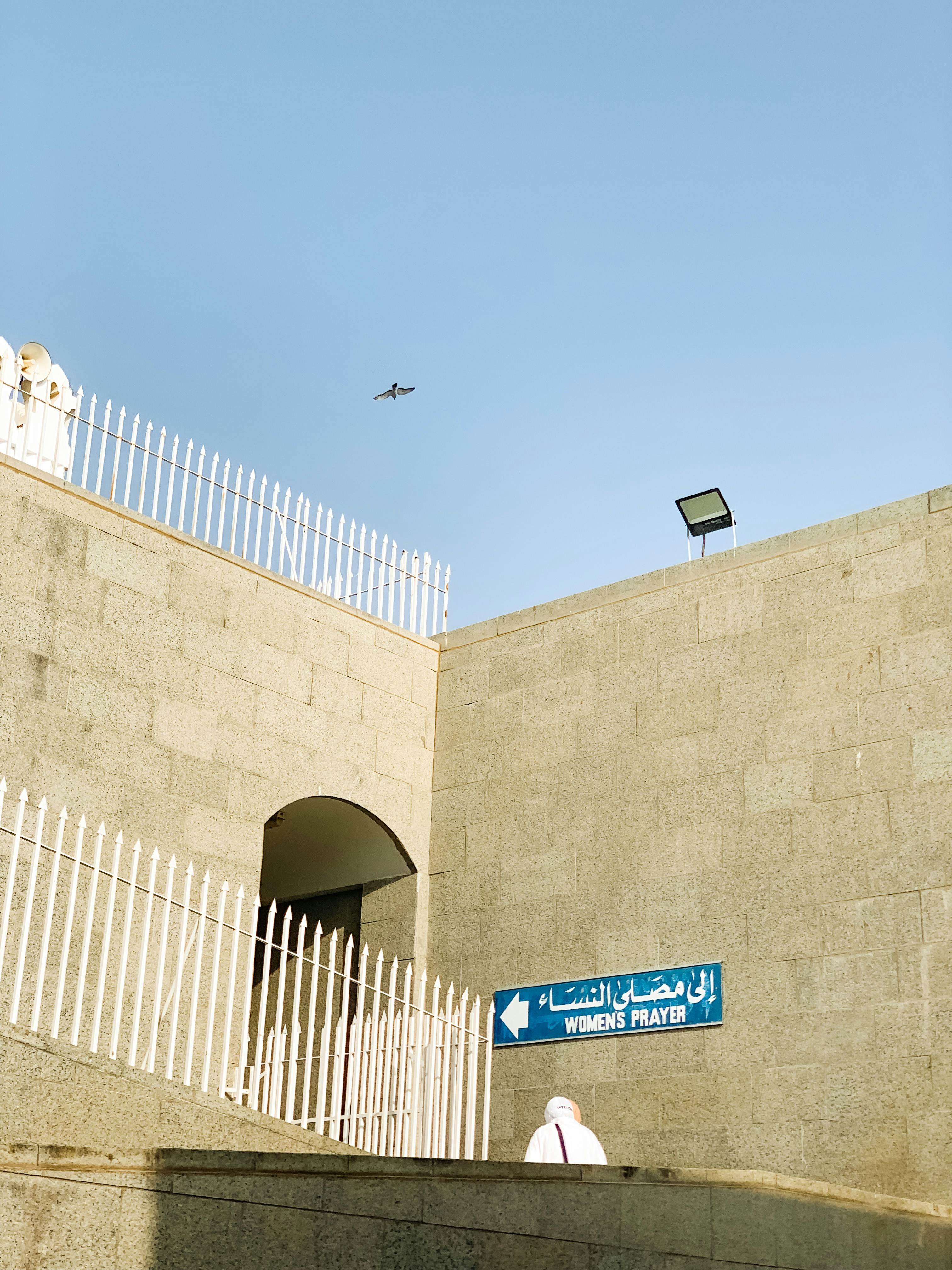 Bird over a sunlit courtyard: geometry of stone and sign
