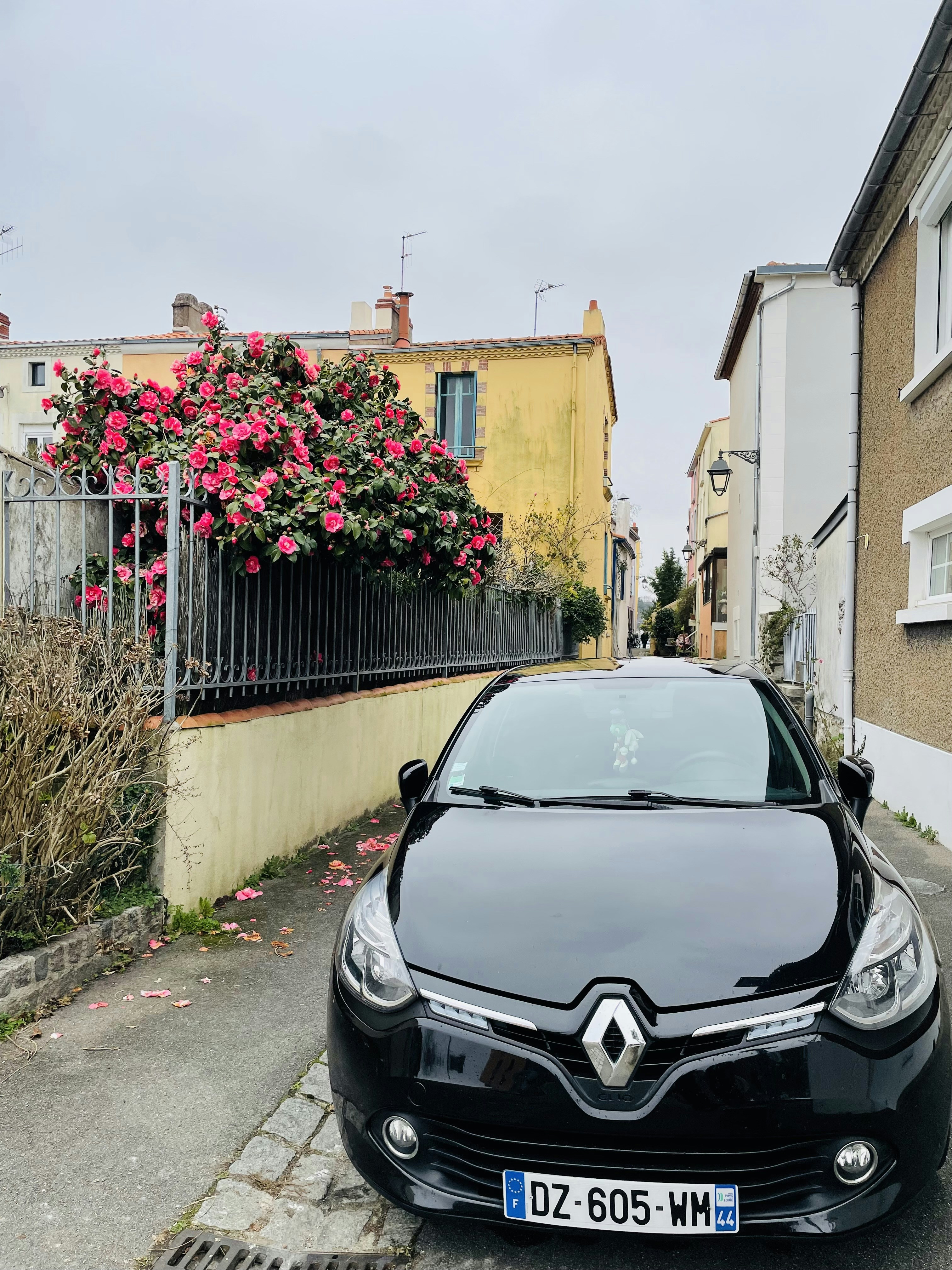 Car and flowers 