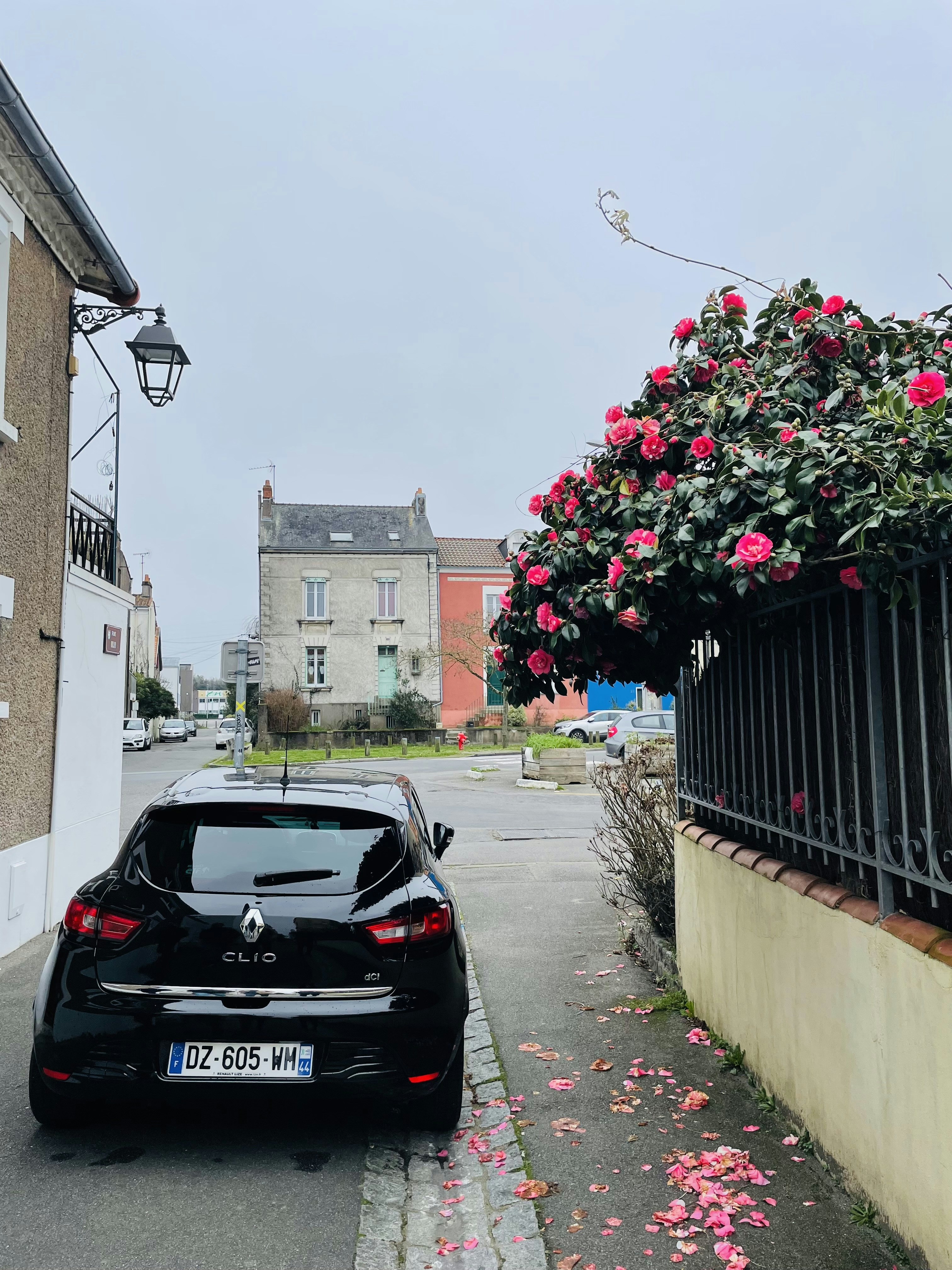 Rose-Arch Framed Street: A Quiet French Lane and a Parked Renault