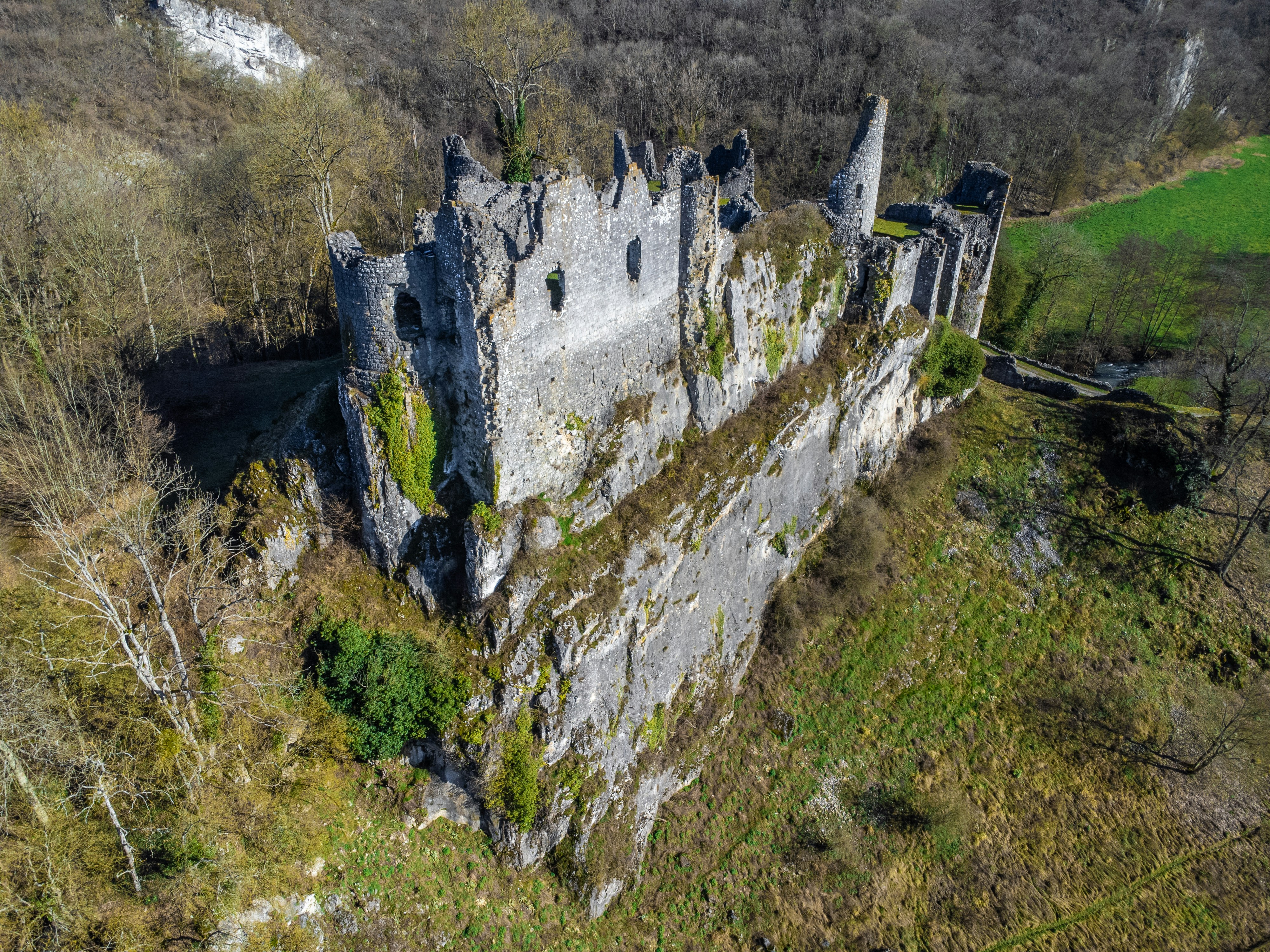 Vue aérienne d’un château au milieu d’une forêt photo – Photo Naturel ...