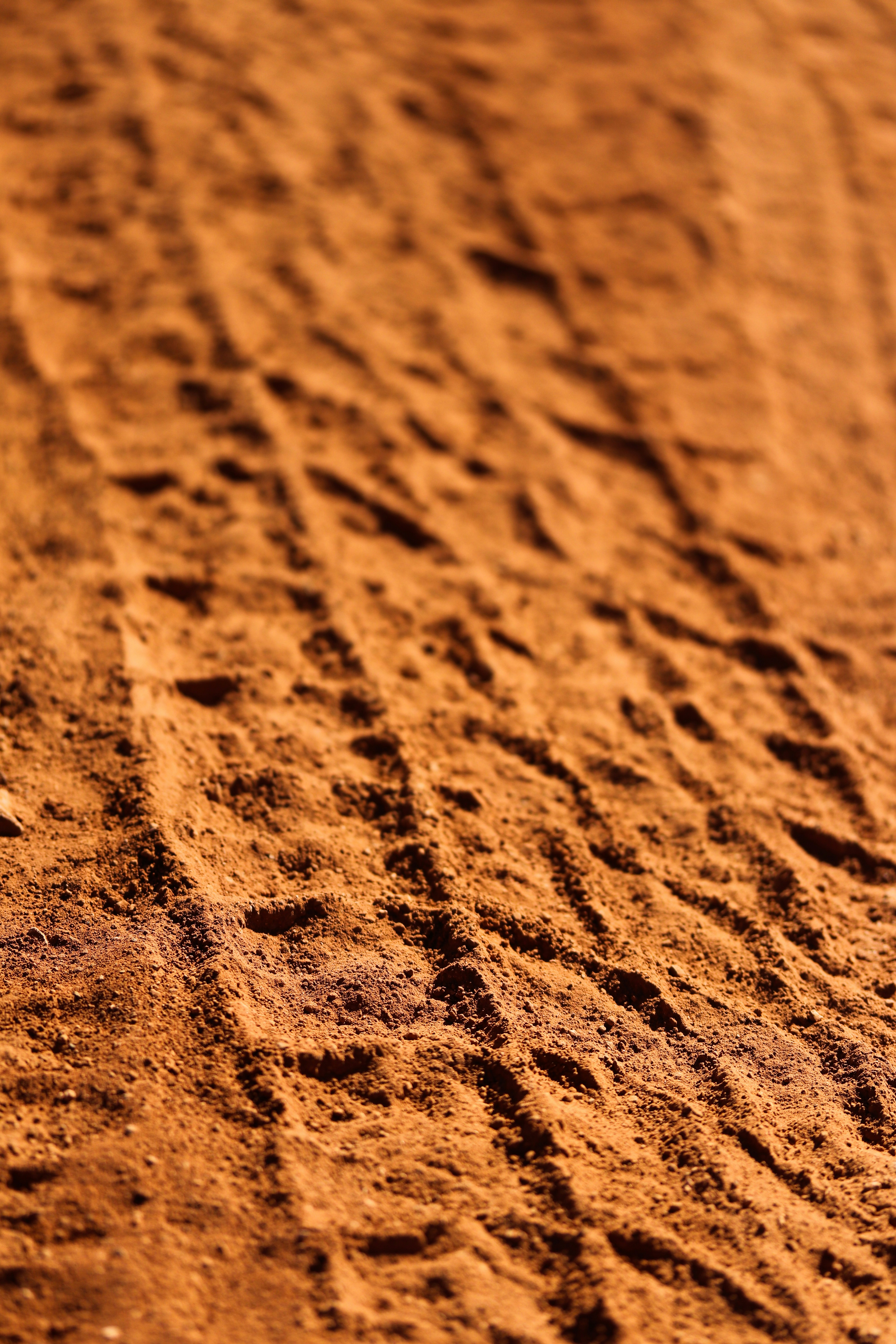 Rust-Red Ridgework: Macro Portrait of Sunlit Soil
