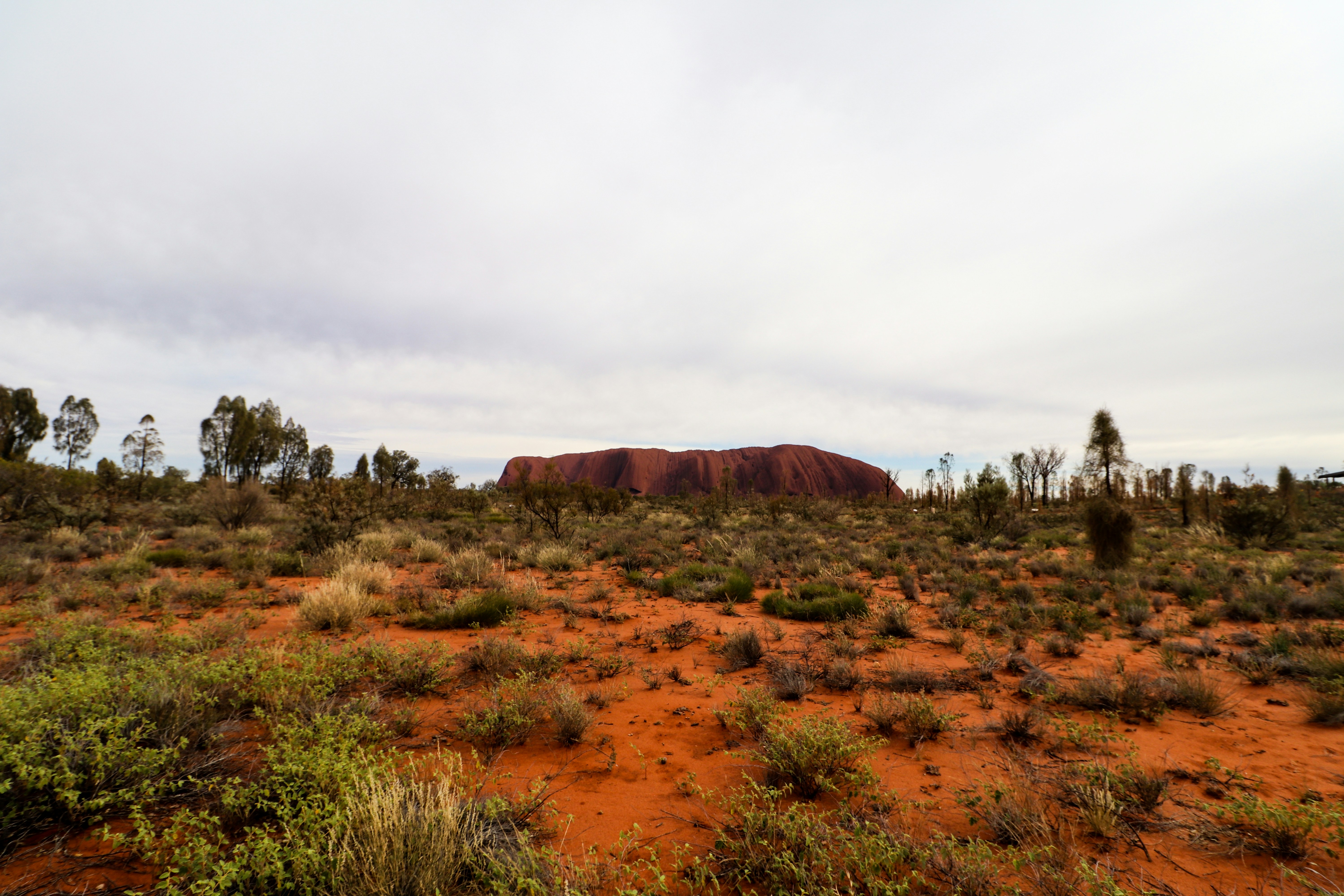 A dirt field with trees and bushes in the foreground photo – Free ...