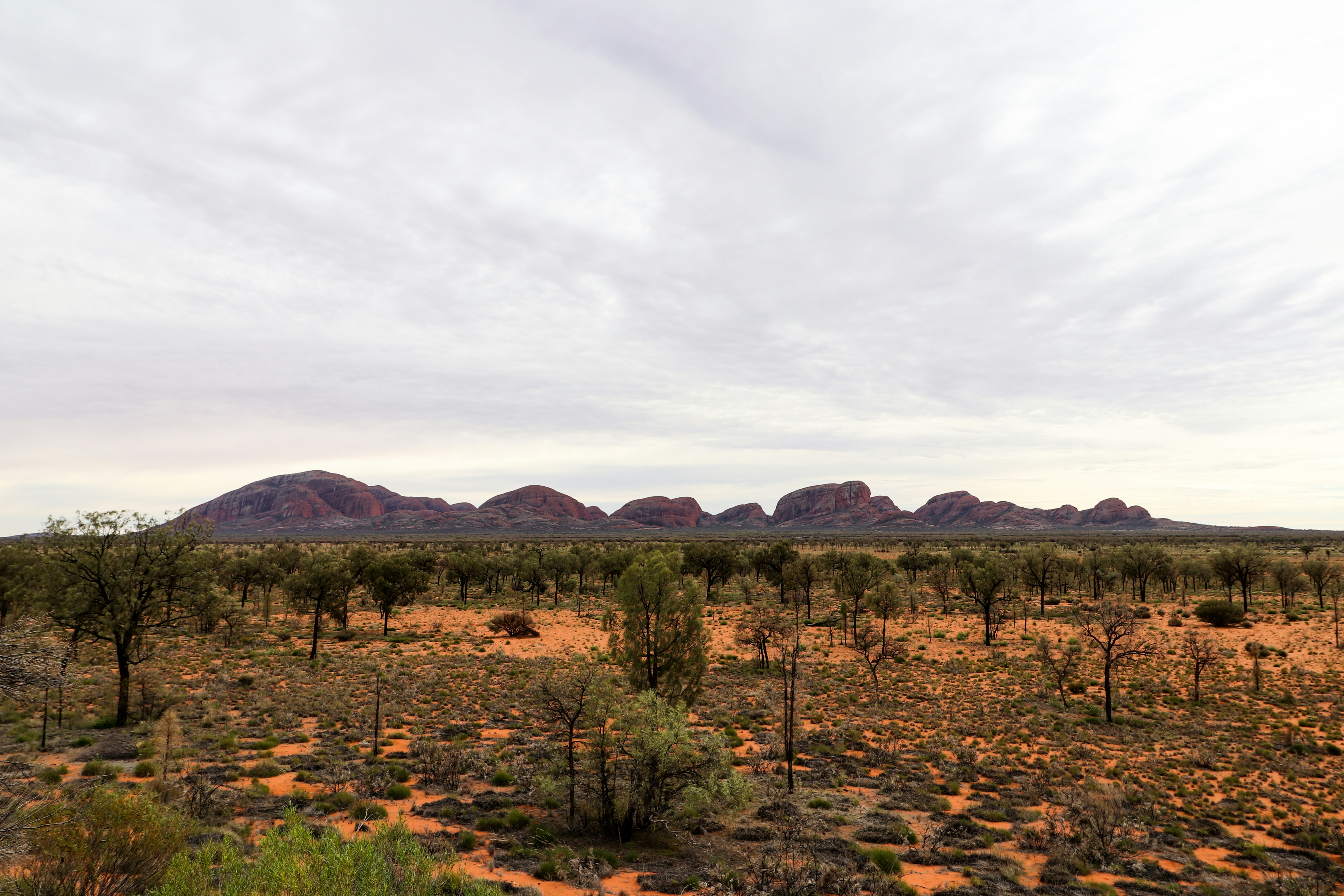 Vast Australian outback landscape featuring distant rock formations under a cloudy sky, with sparse vegetation in the foreground.