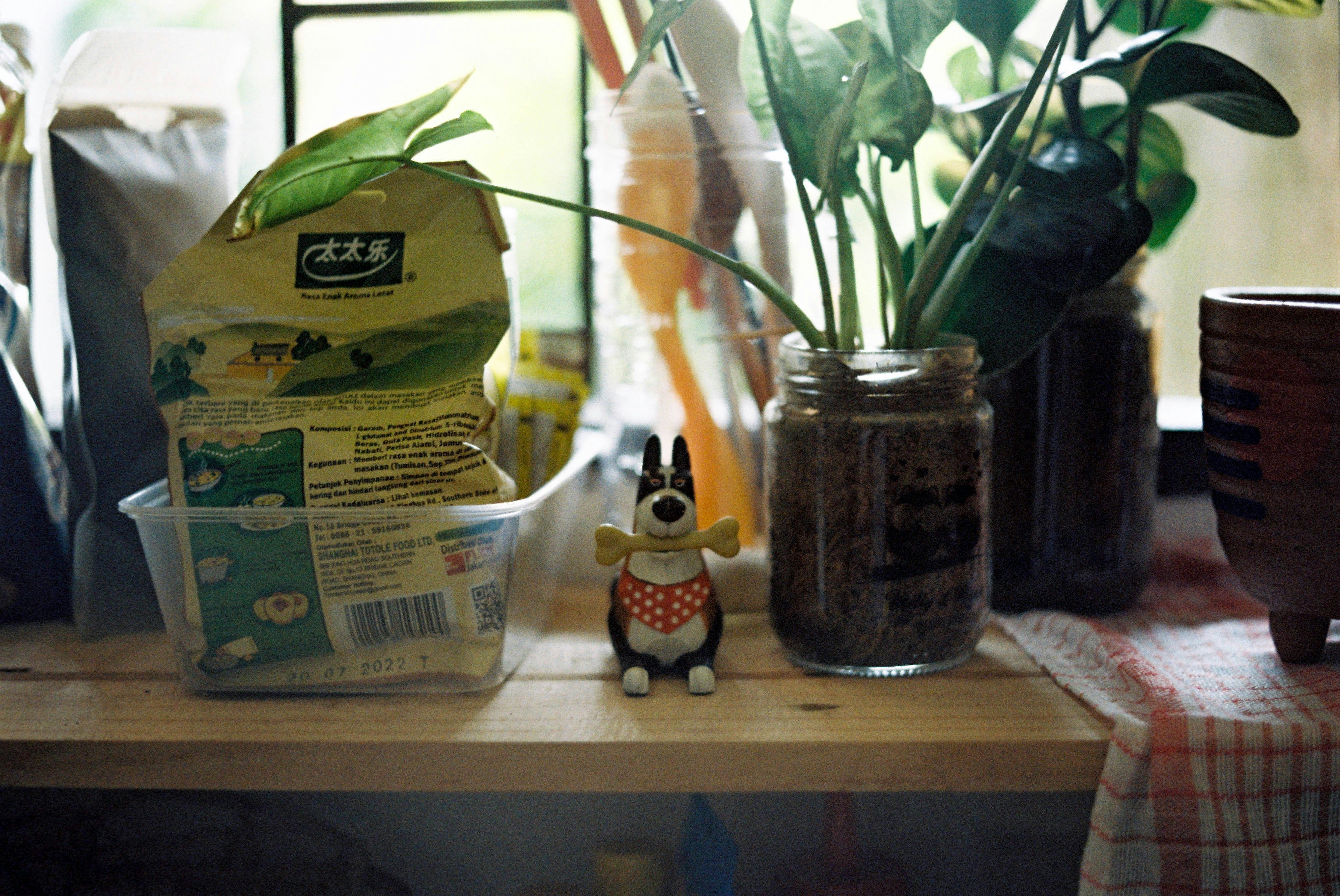 Sunlit Shelf: A Tiny Dog Figurine Stands Sentinel Among Plants