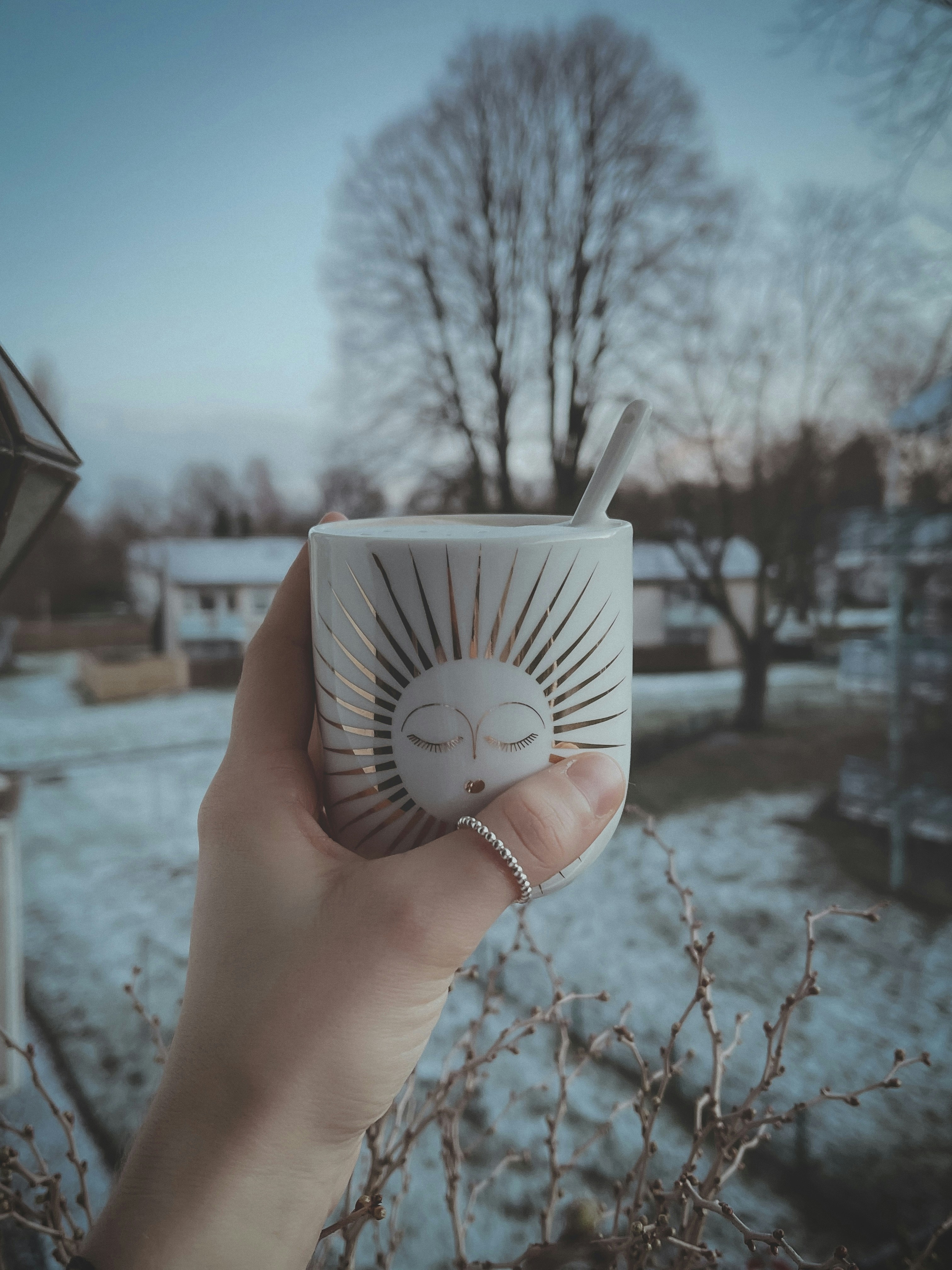Sunlit Cup: A Sunburst Mug Gripped Against a Winter Suburban Backdrop